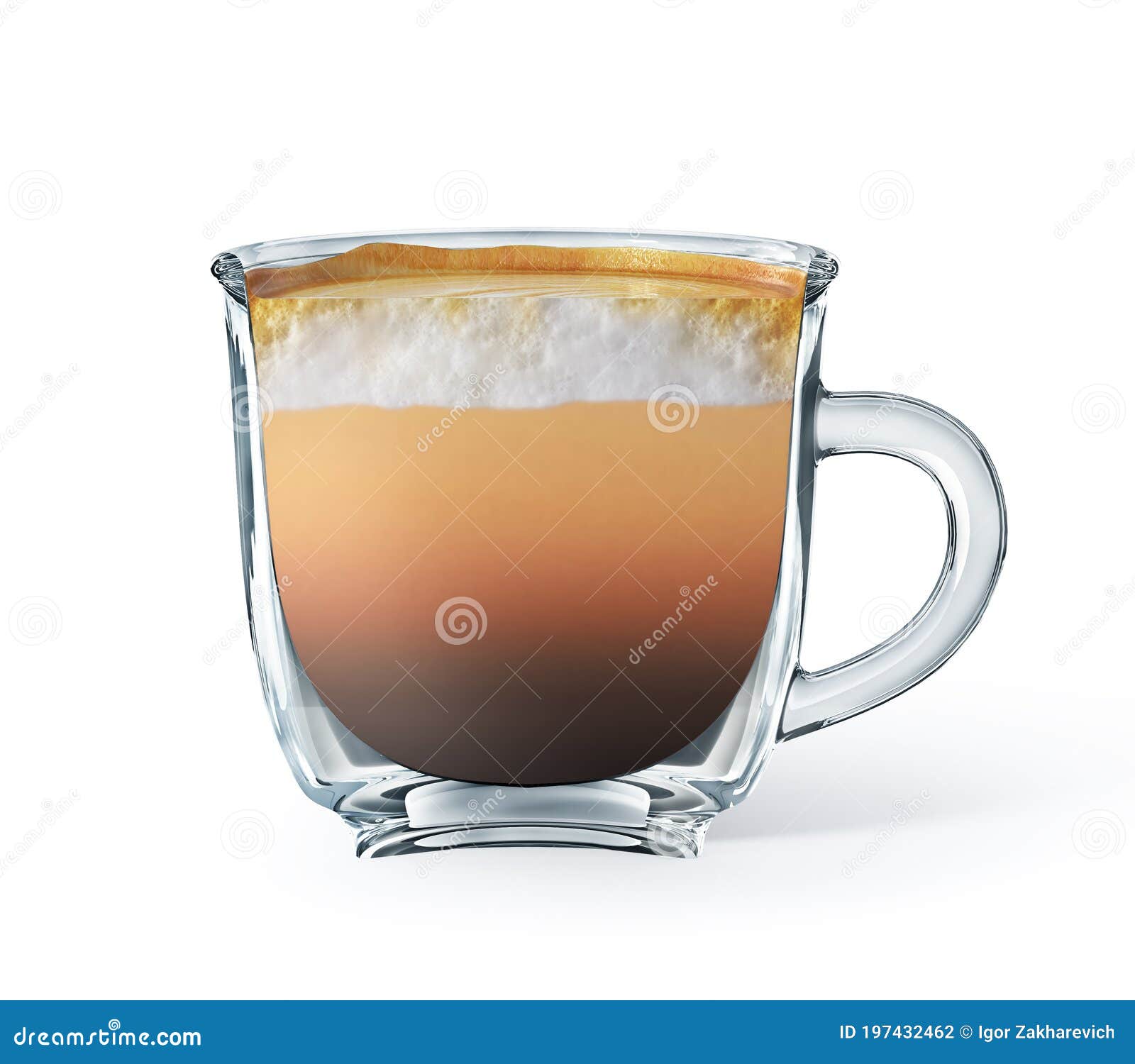 Half a Cup of Cappuccino. Vertical Cut of Cup with Cappuccino Stock ...