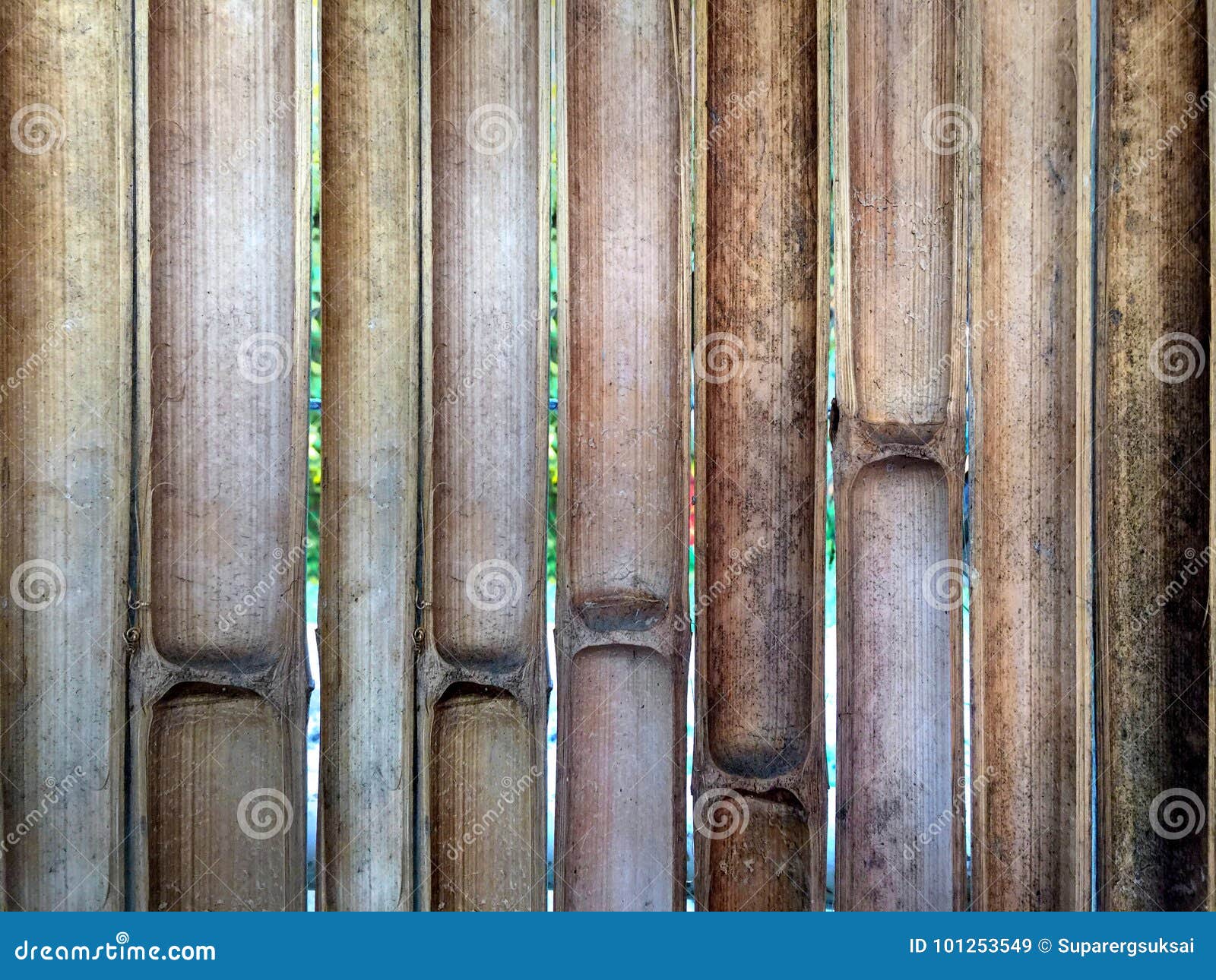 Half-Cut Bamboo Fence stock image. Image of fence, decor - 101253549