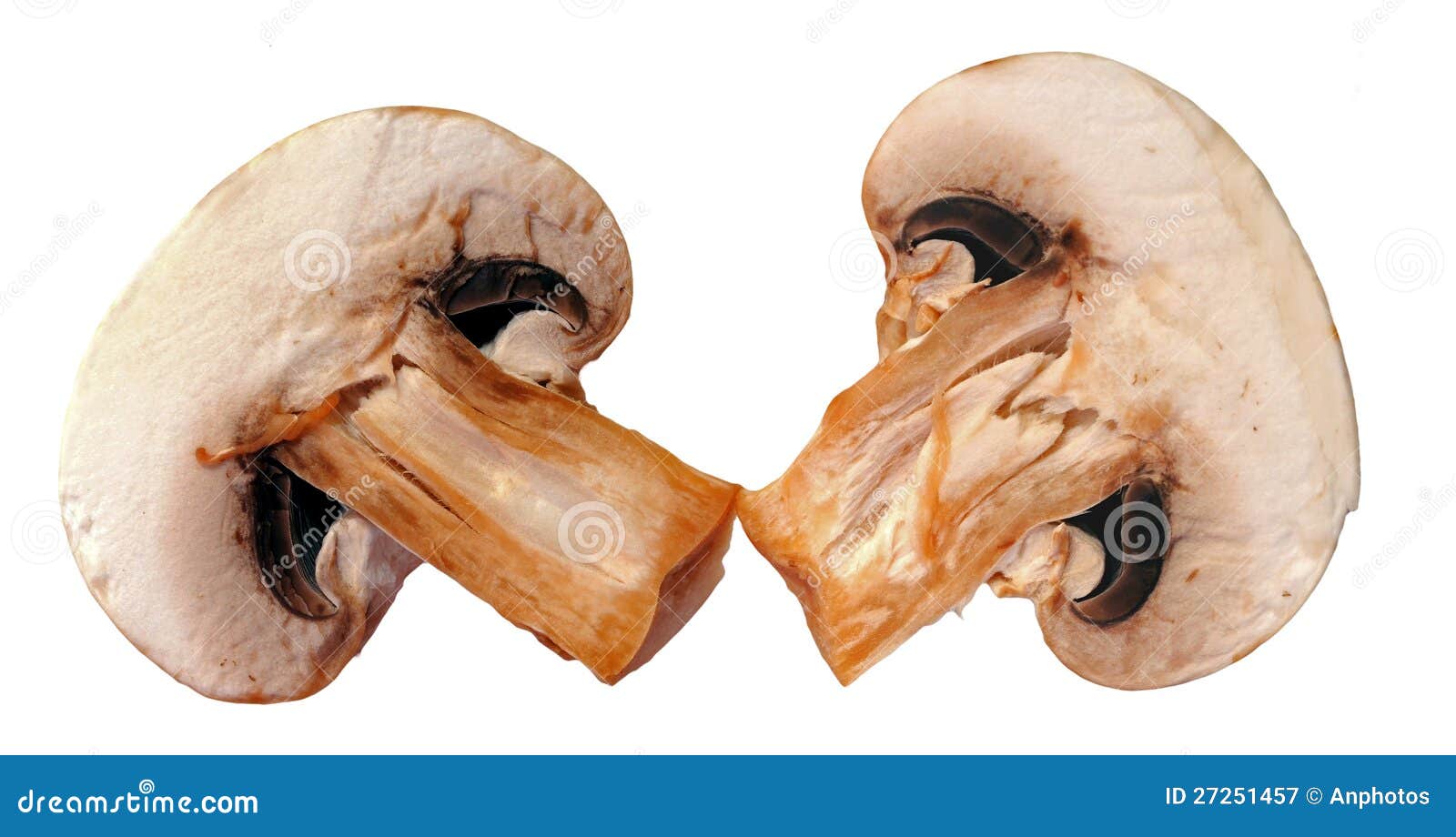 Half Cut of Champignon Mushroom Stock Image - Image of food, cook: 27251457