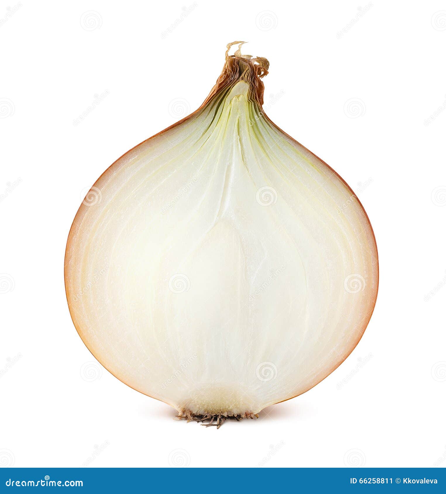 Half Cut Onion Bulb on White Background Stock Image - Image of ...