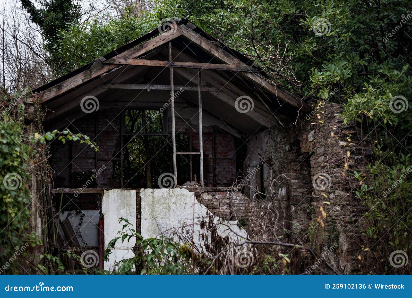 Half-destroyed Building Surrounded by Trees Stock Photo - Image of ...