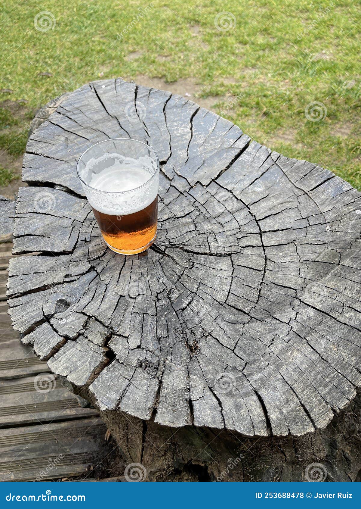A Half Drunk Glass of Refreshing Beer on the Stump of a Large Tree ...