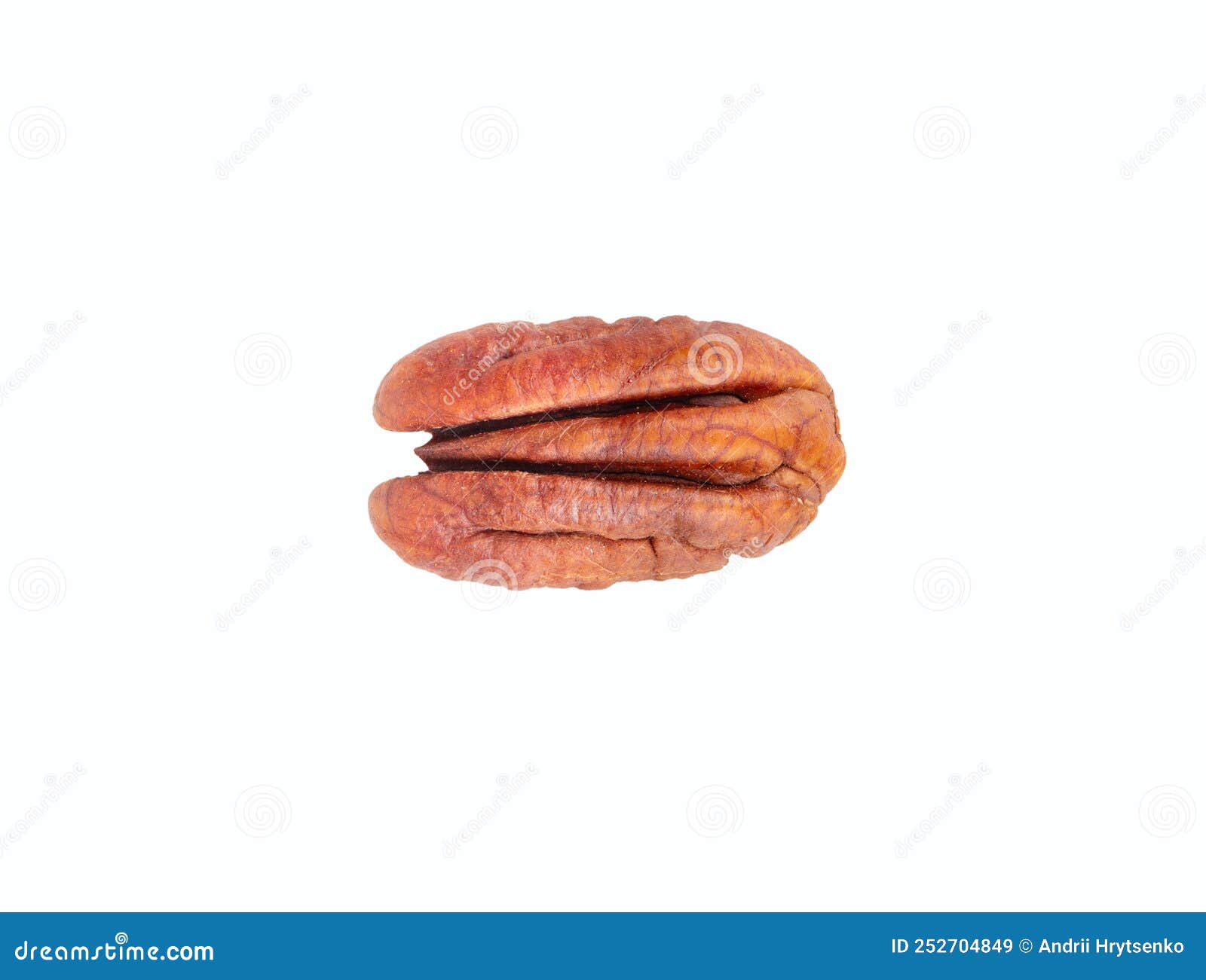 Half of Dry Pecan without Shell Stock Image - Image of protein, object ...