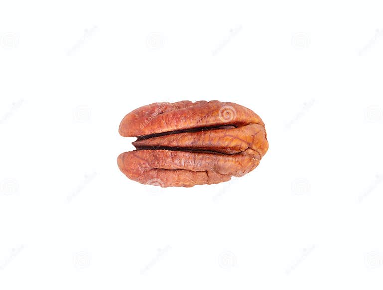 Half of Dry Pecan without Shell Stock Image - Image of protein, object ...