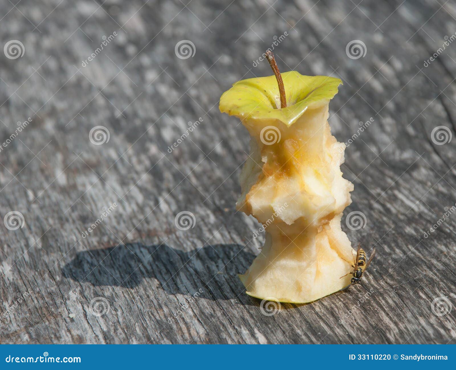 Half eaten apple and bee stock photo. Image of table - 33110220