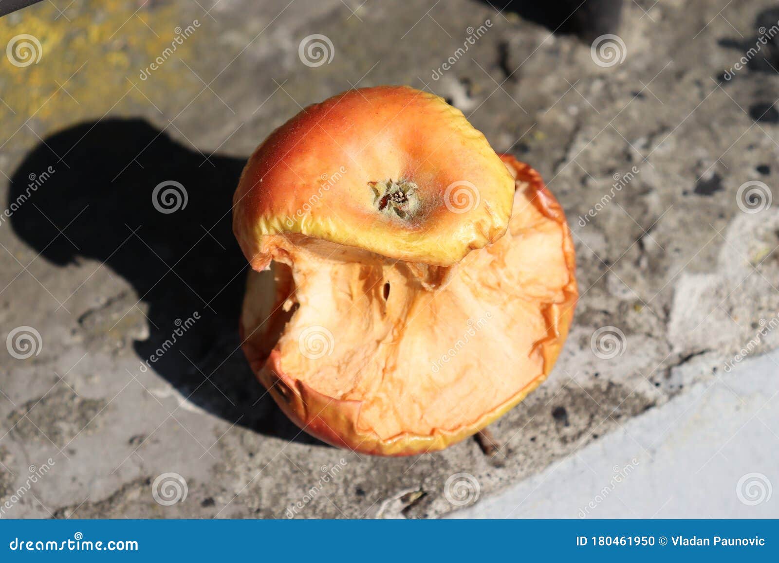 Half eaten apple stock photo. Image of nature, food - 180461950