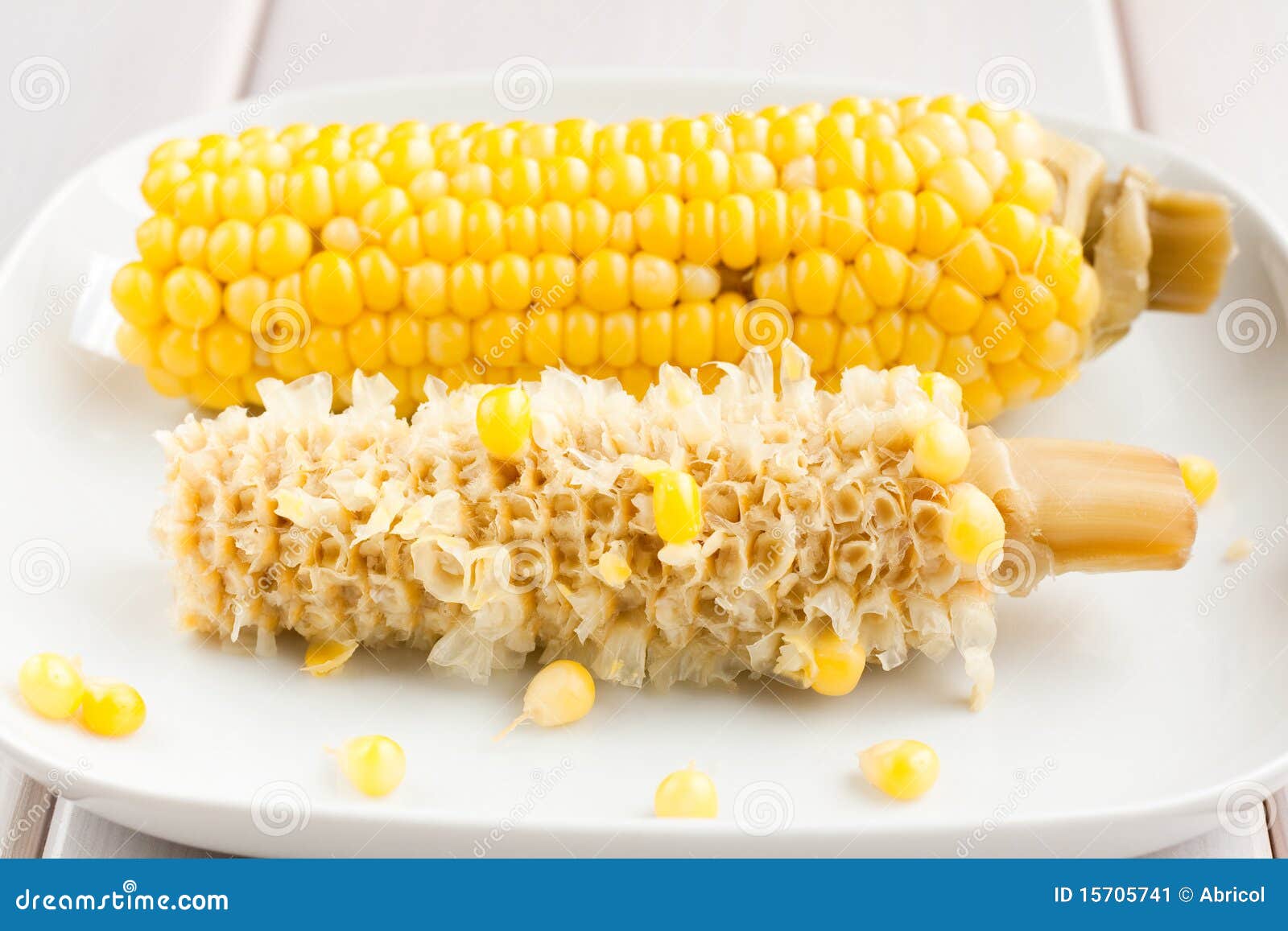 Eaten Corn Cob