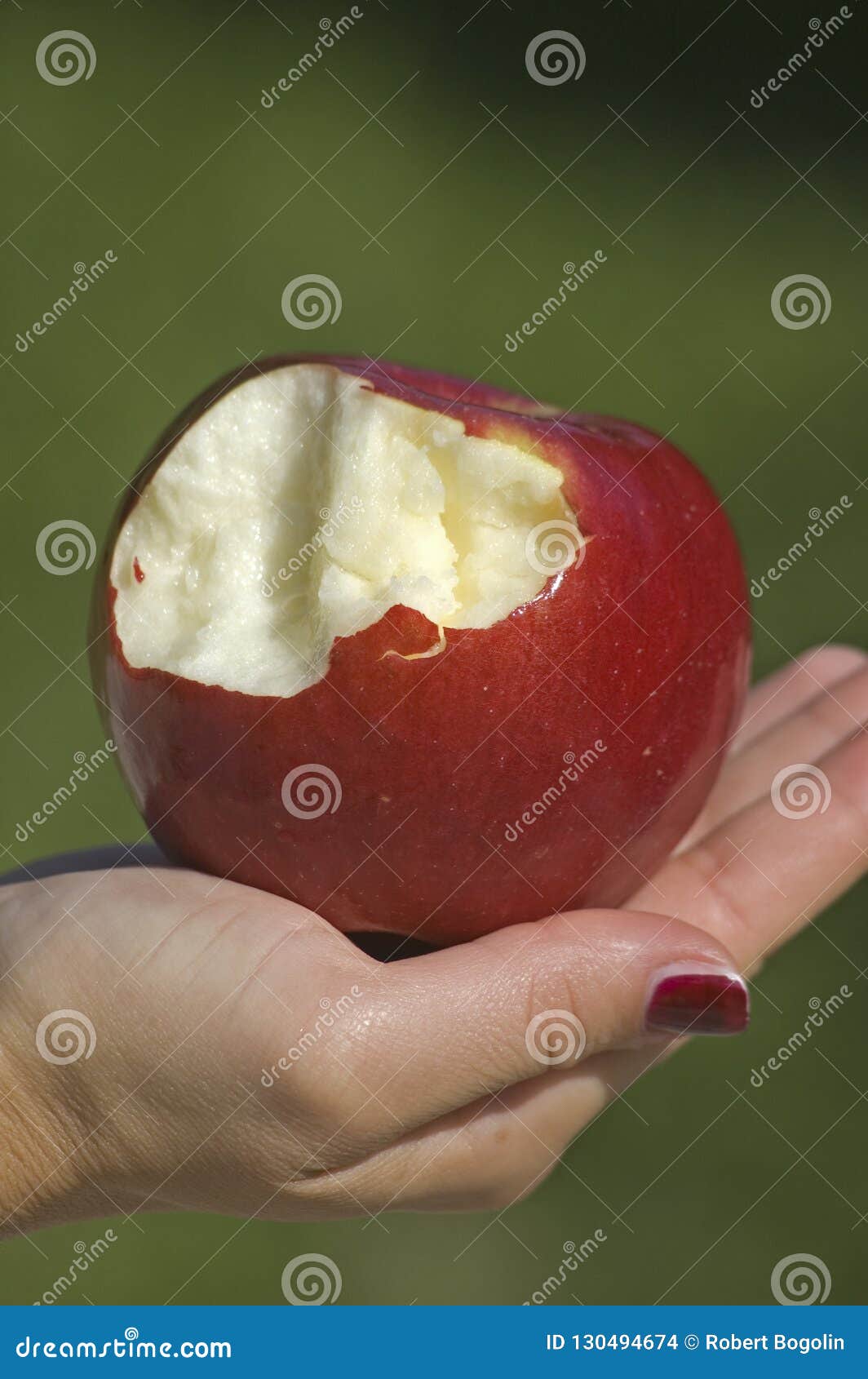 Half eaten red apple. stock photo. Image of apple, eaten - 130494674