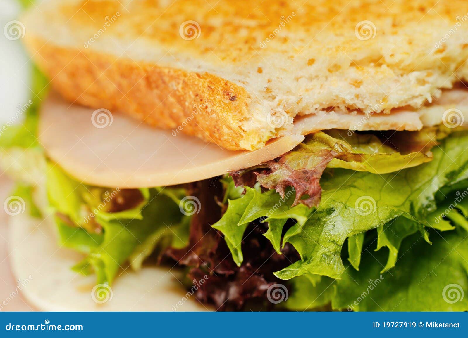 Half-eaten Sandwich Close Up Stock Image - Image of greens, closeup ...
