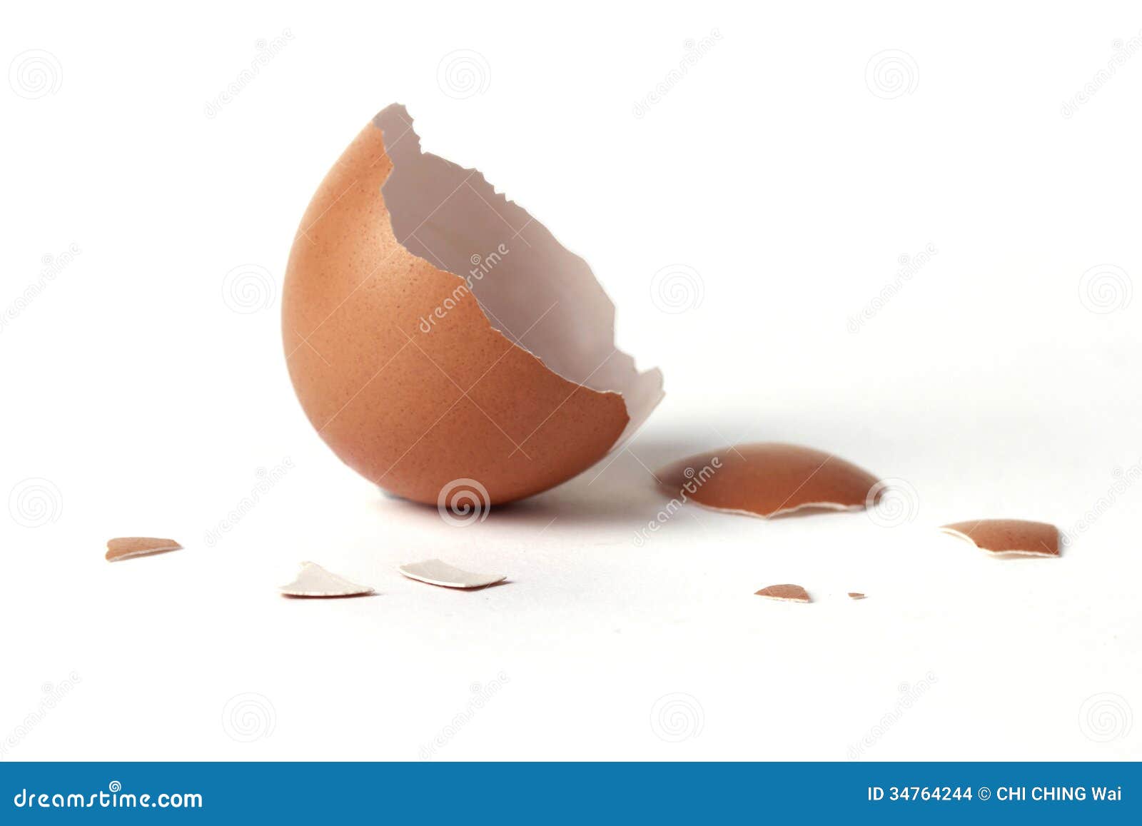 Half egg shell opening. stock photo. Image of isolated - 34764244