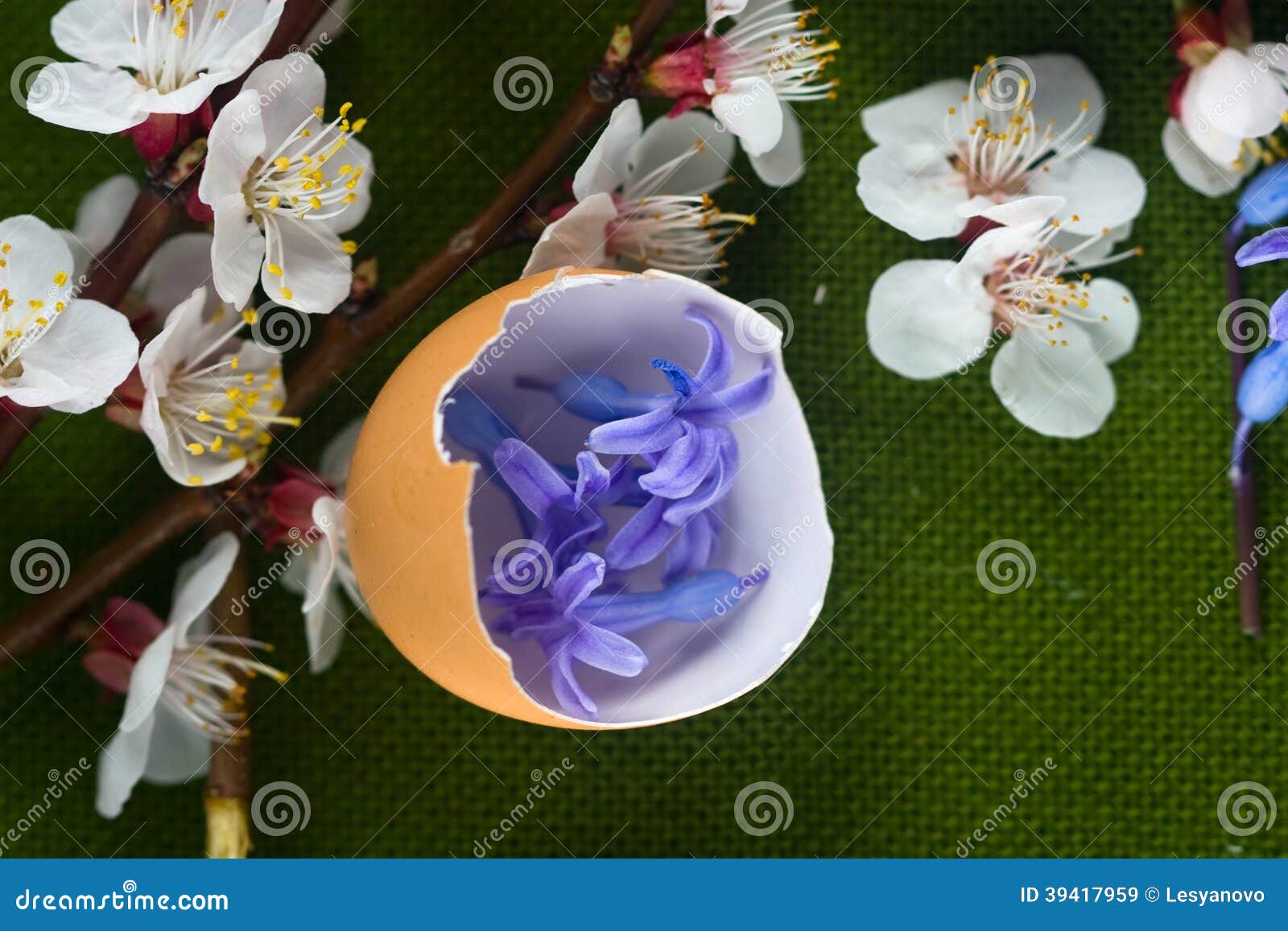 Half Eggshell Filled with Blue Spring Flowers Stock Image - Image of ...
