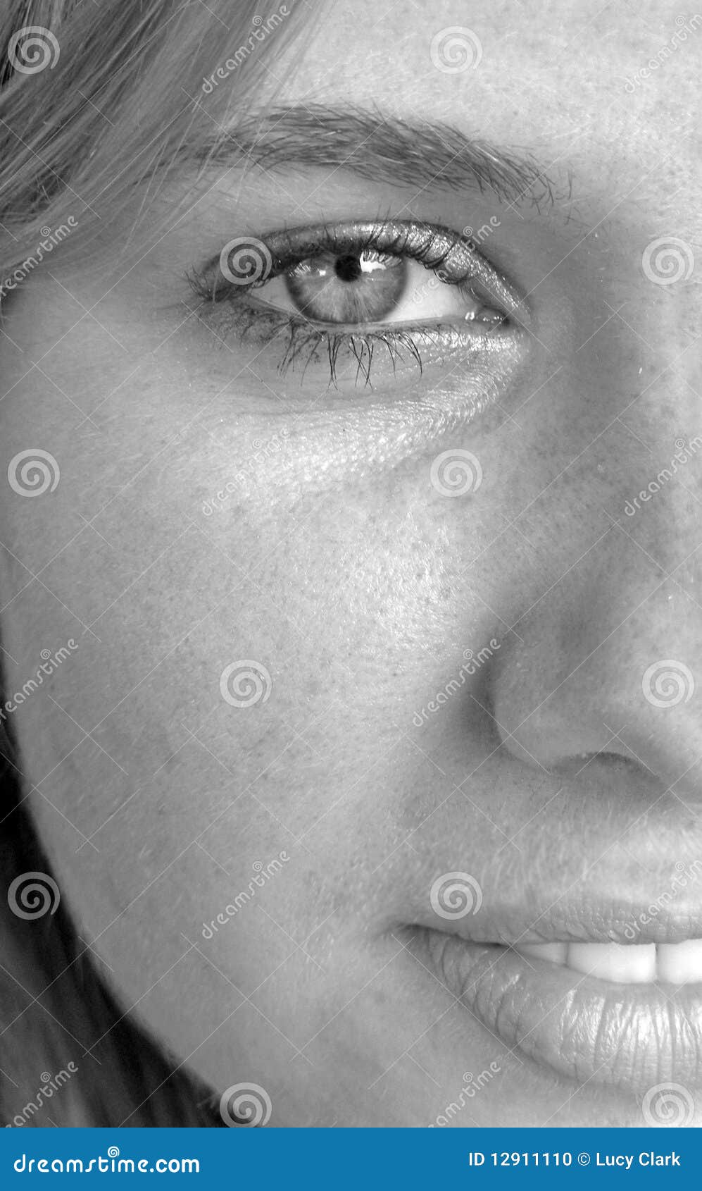 Half Face stock photo. Image of adult, face, beauty, girls - 12911110