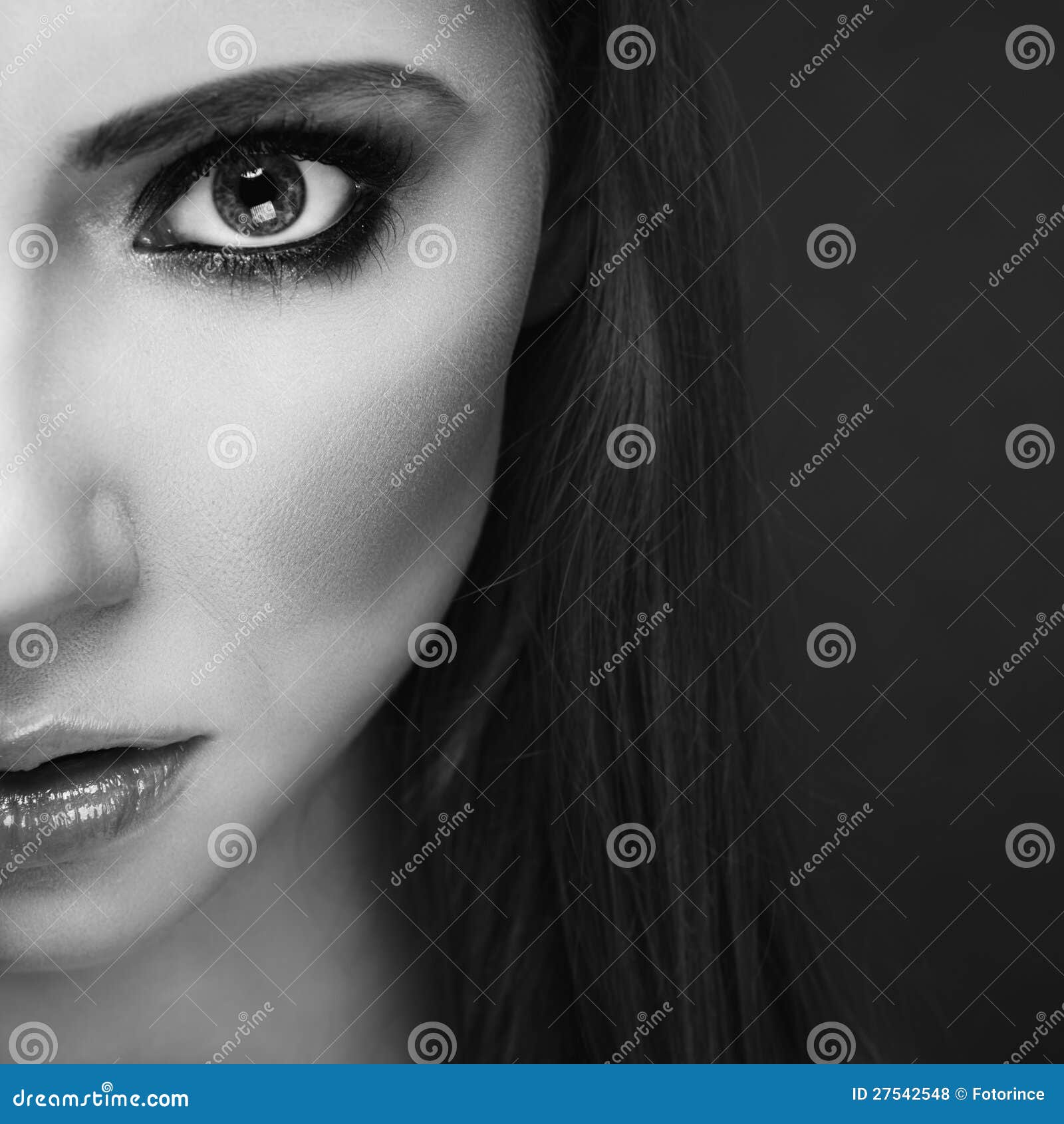Half face portrait stock photo. Image of brunette, glamour - 27542548