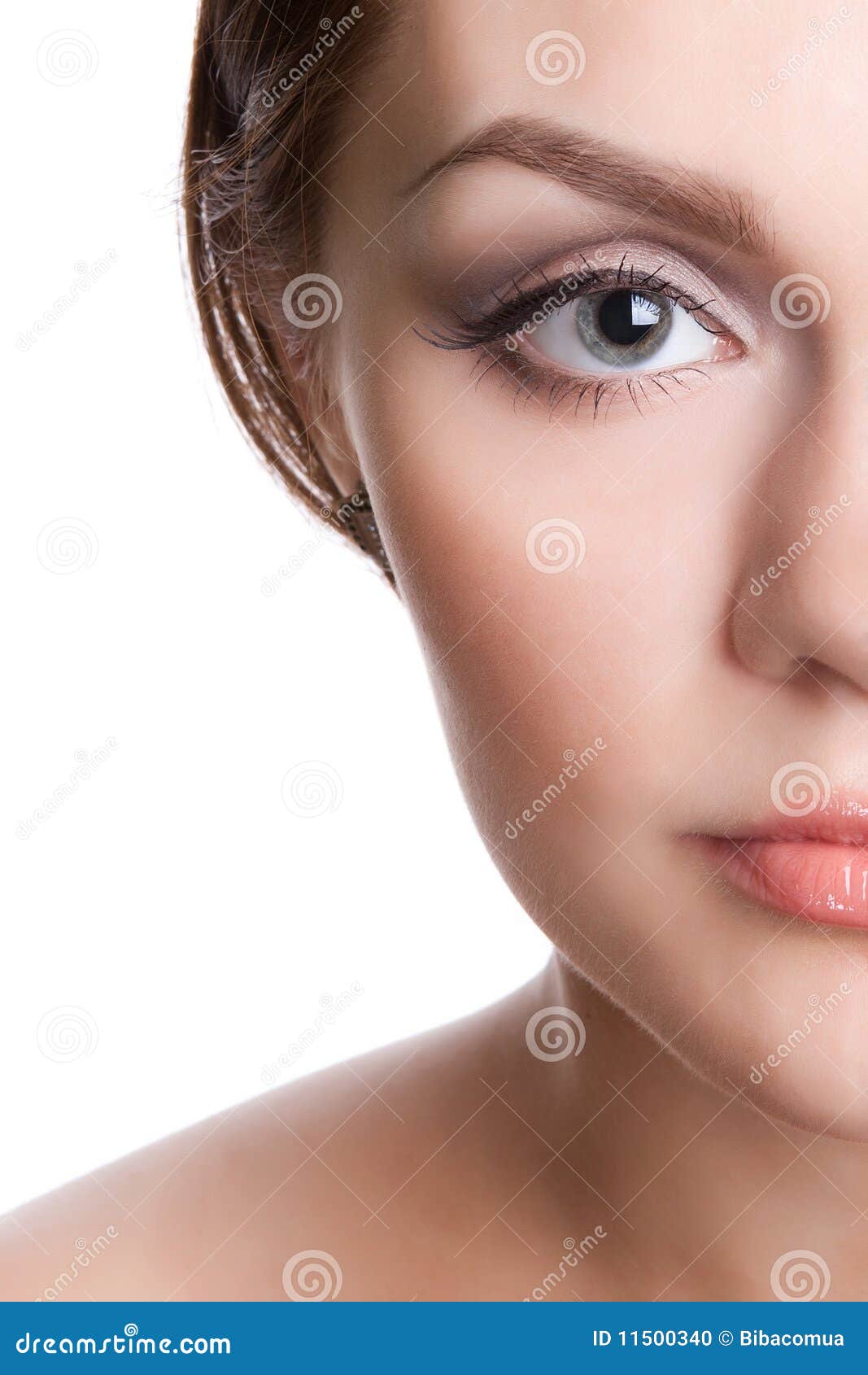Half of female face stock photo. Image of face, care - 11500340