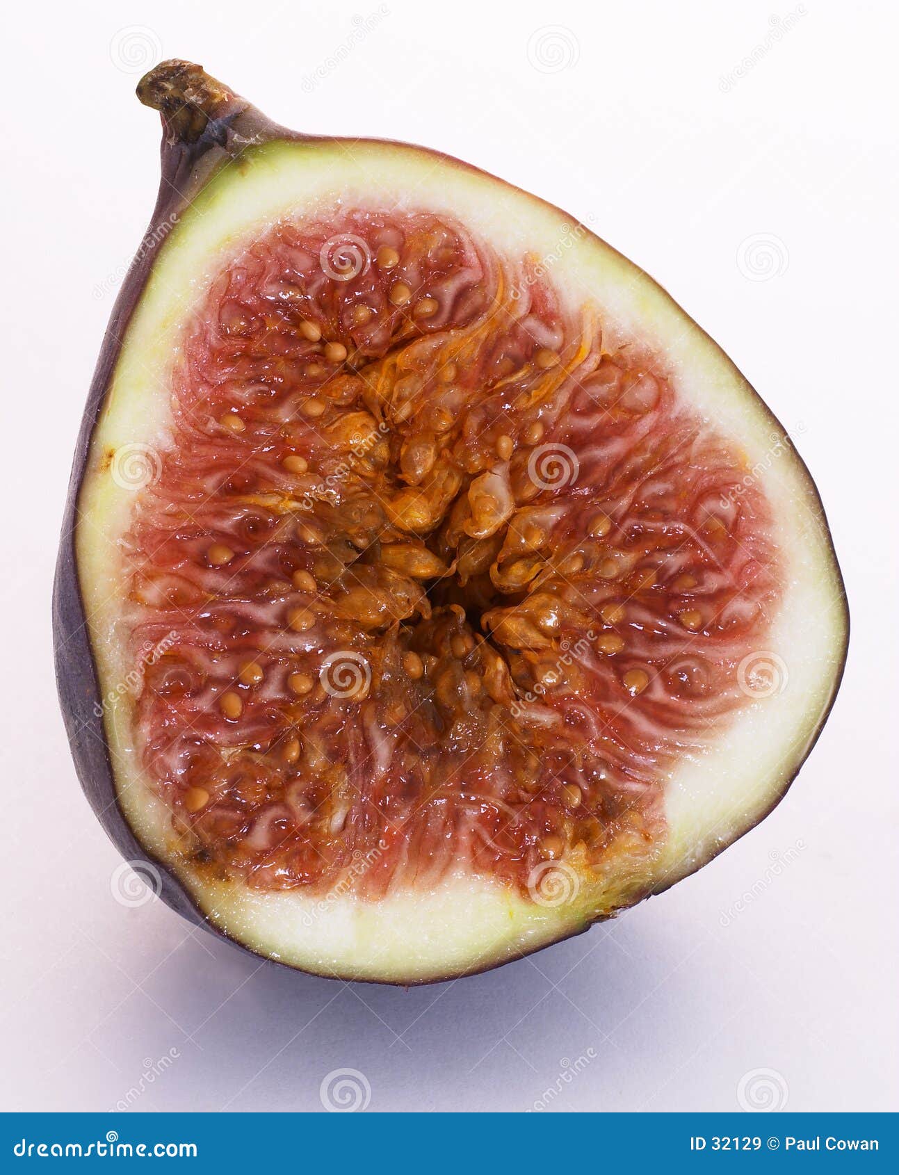 Half a fig stock image. Image of brown, purple, white, syrup - 32129