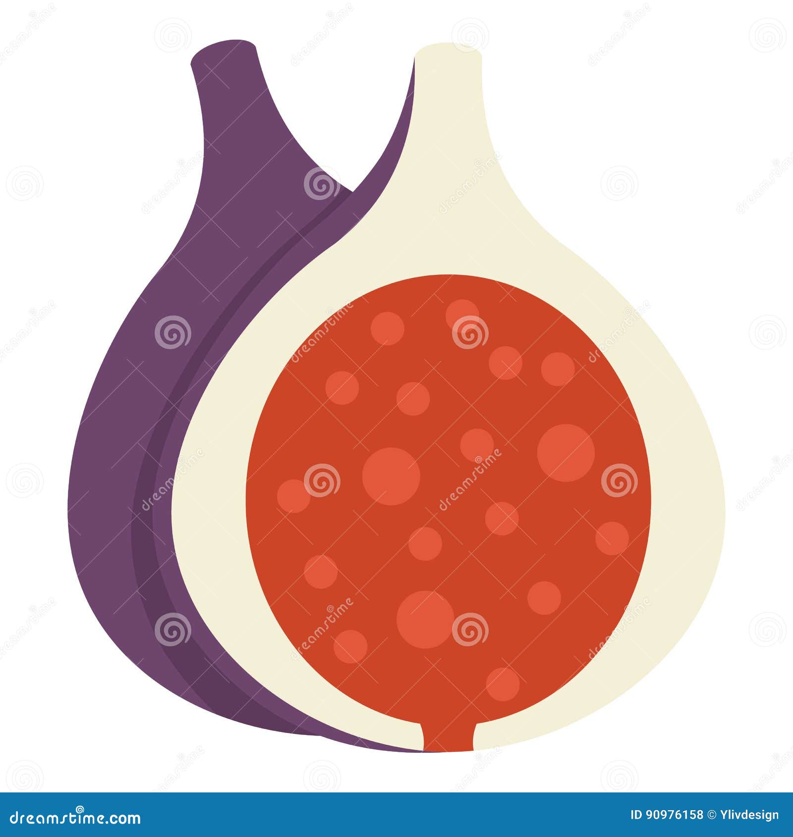 Half of fig fruit icon stock vector. Illustration of closeup - 90976158