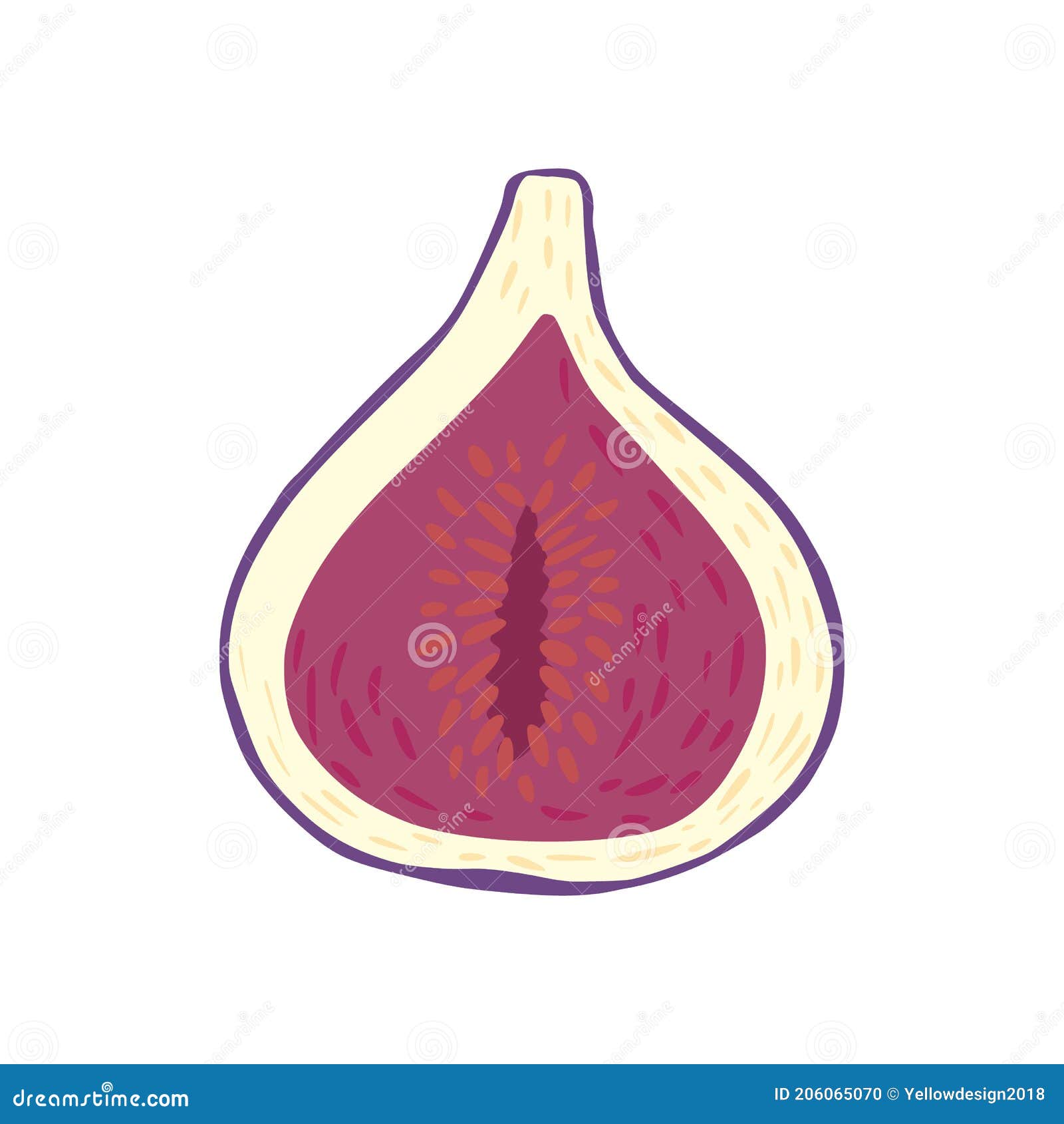 Half Figs Isolated on White Background. Sketch Botanical Fruit Stock ...