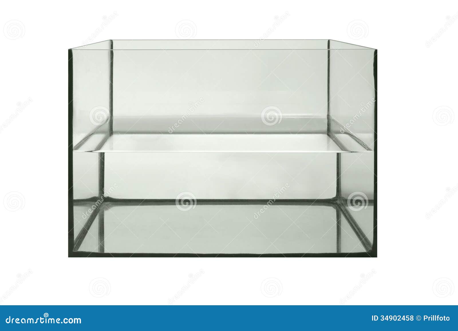 Half filled aquarium stock photo. Image of rectangle - 34902458