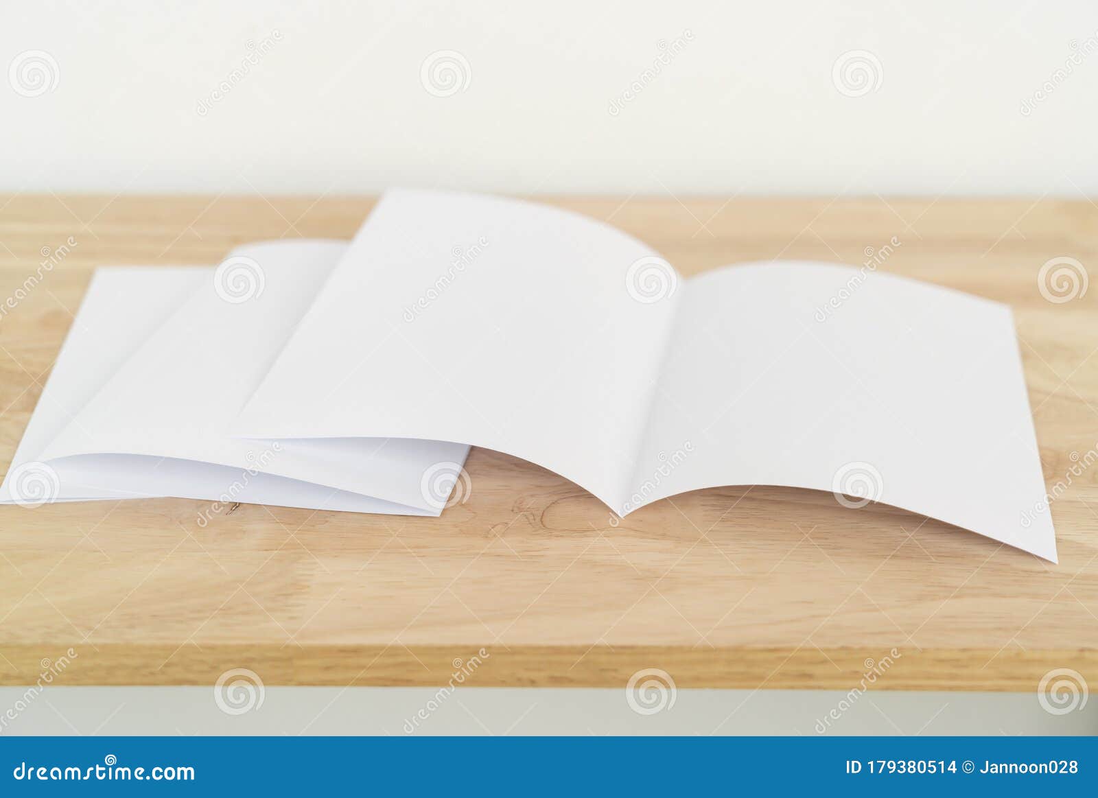 Half-fold Horizontal Brochure Blank White Template For Mock Up And ...