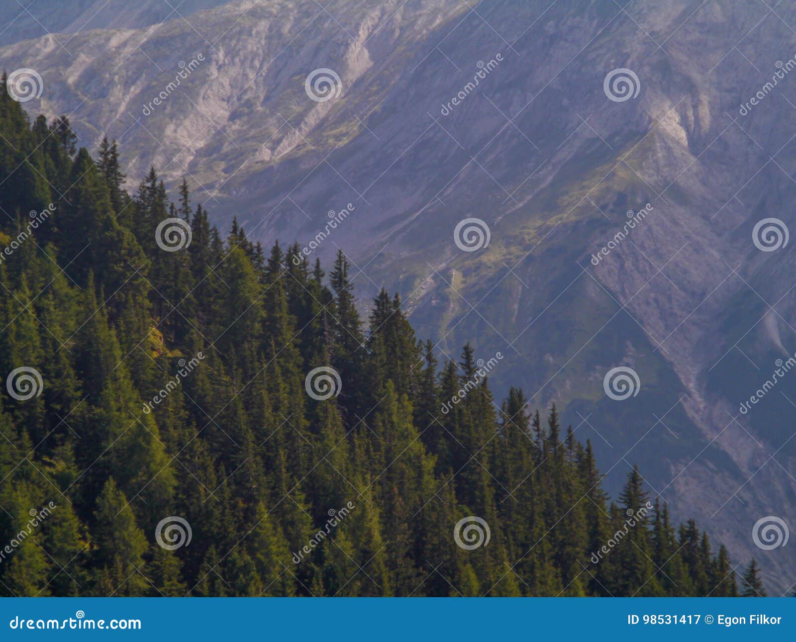 Half forest half mountain stock image. Image of green - 98531417