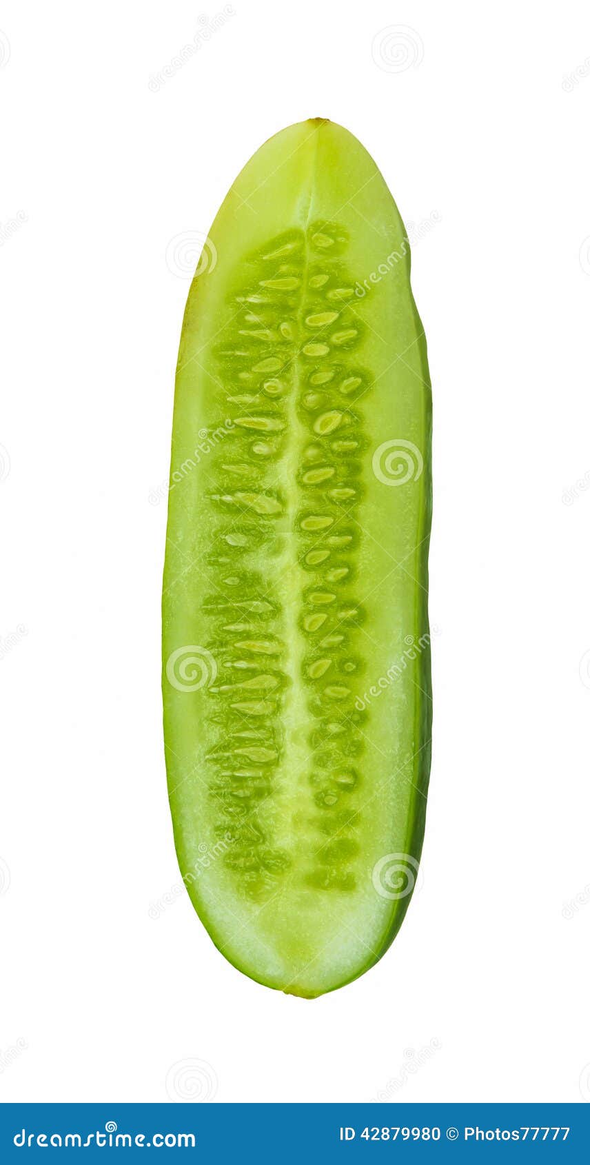 Half fresh cucumber stock photo. Image of food, health - 42879980