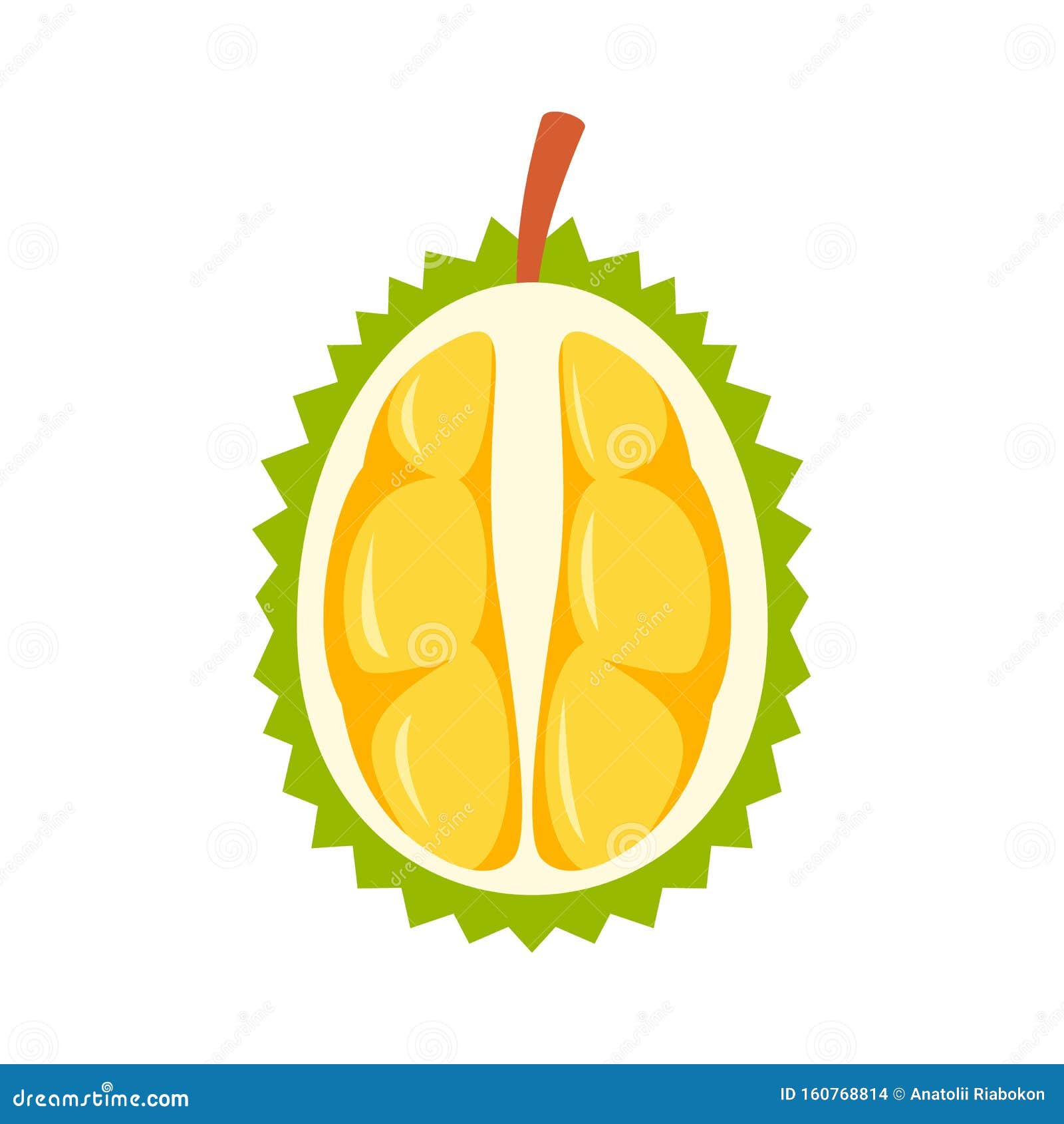 Half Fresh Durian Icon, Flat Style Stock Vector - Illustration of asian ...