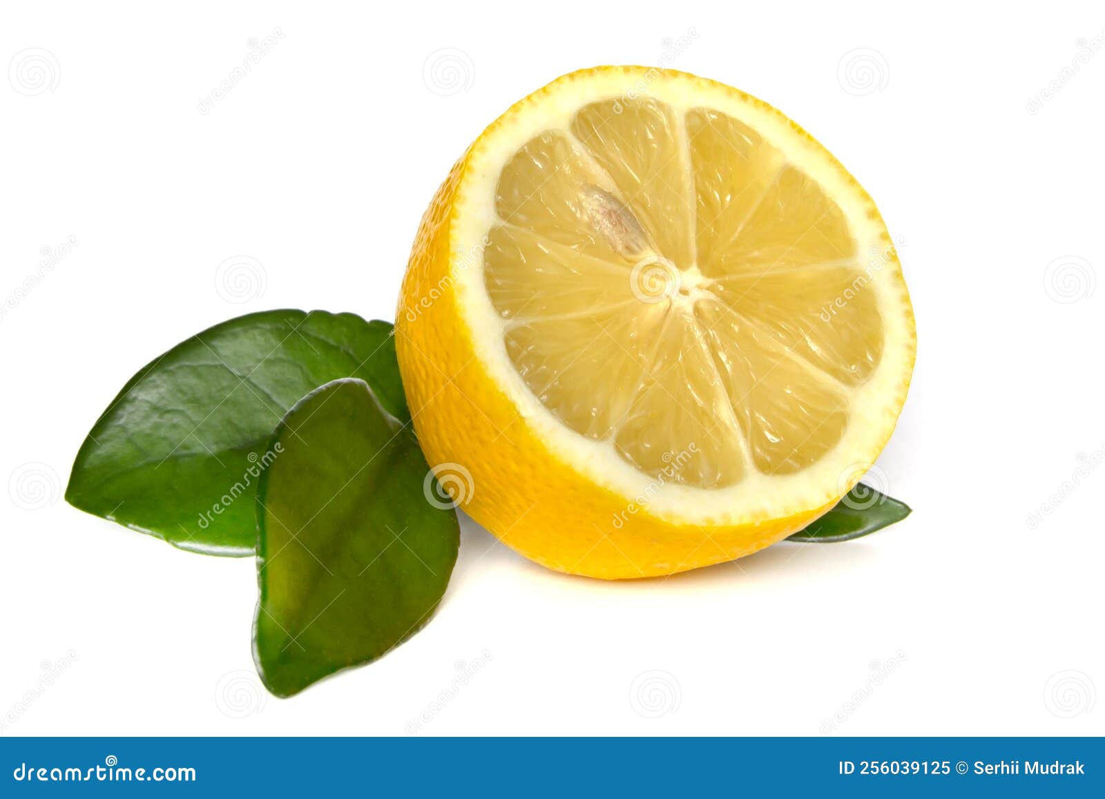 Half of Fresh Lemon with Leaves Isolated on White Background Stock ...