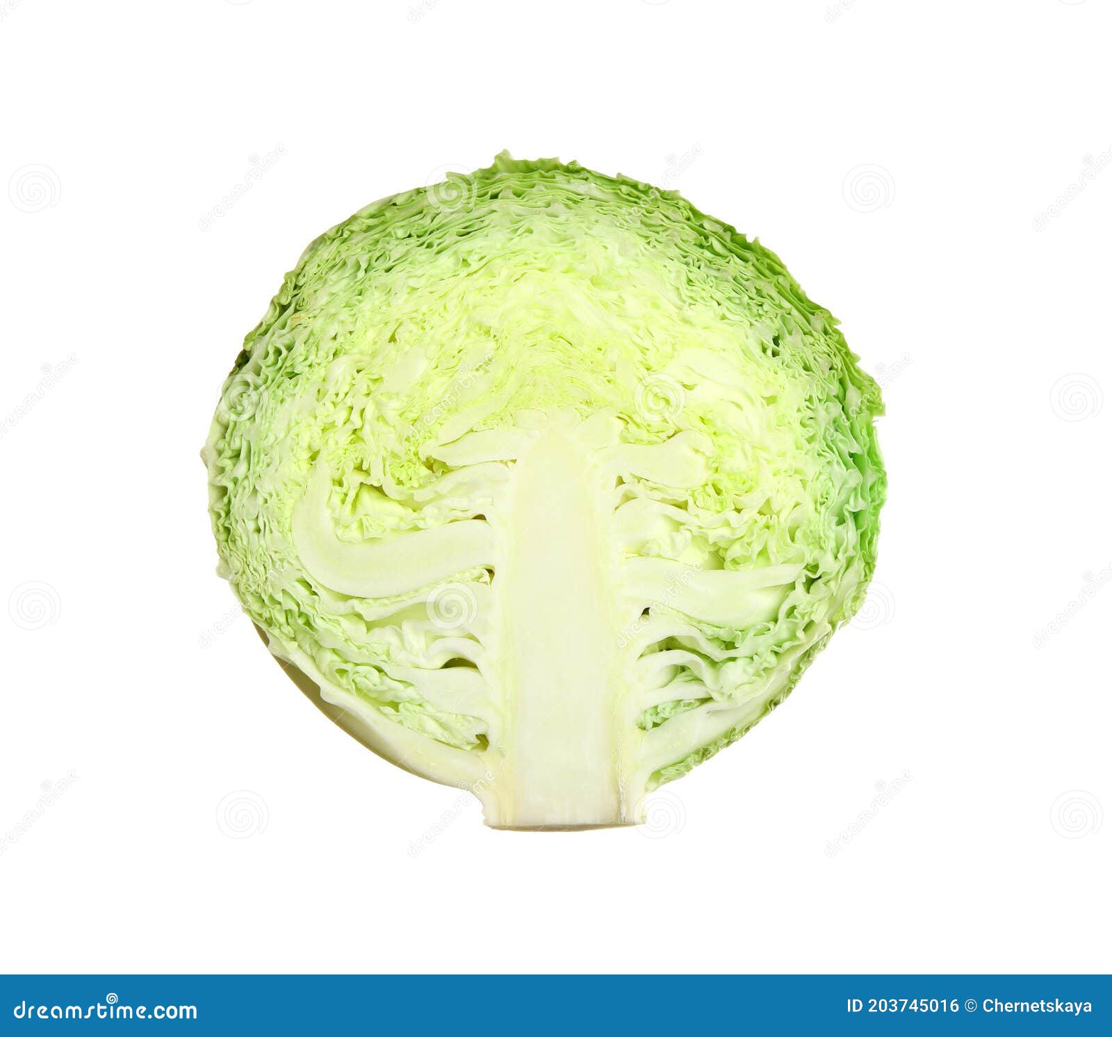 Half of Fresh Ripe Cabbage Isolated on White Stock Photo - Image of ...