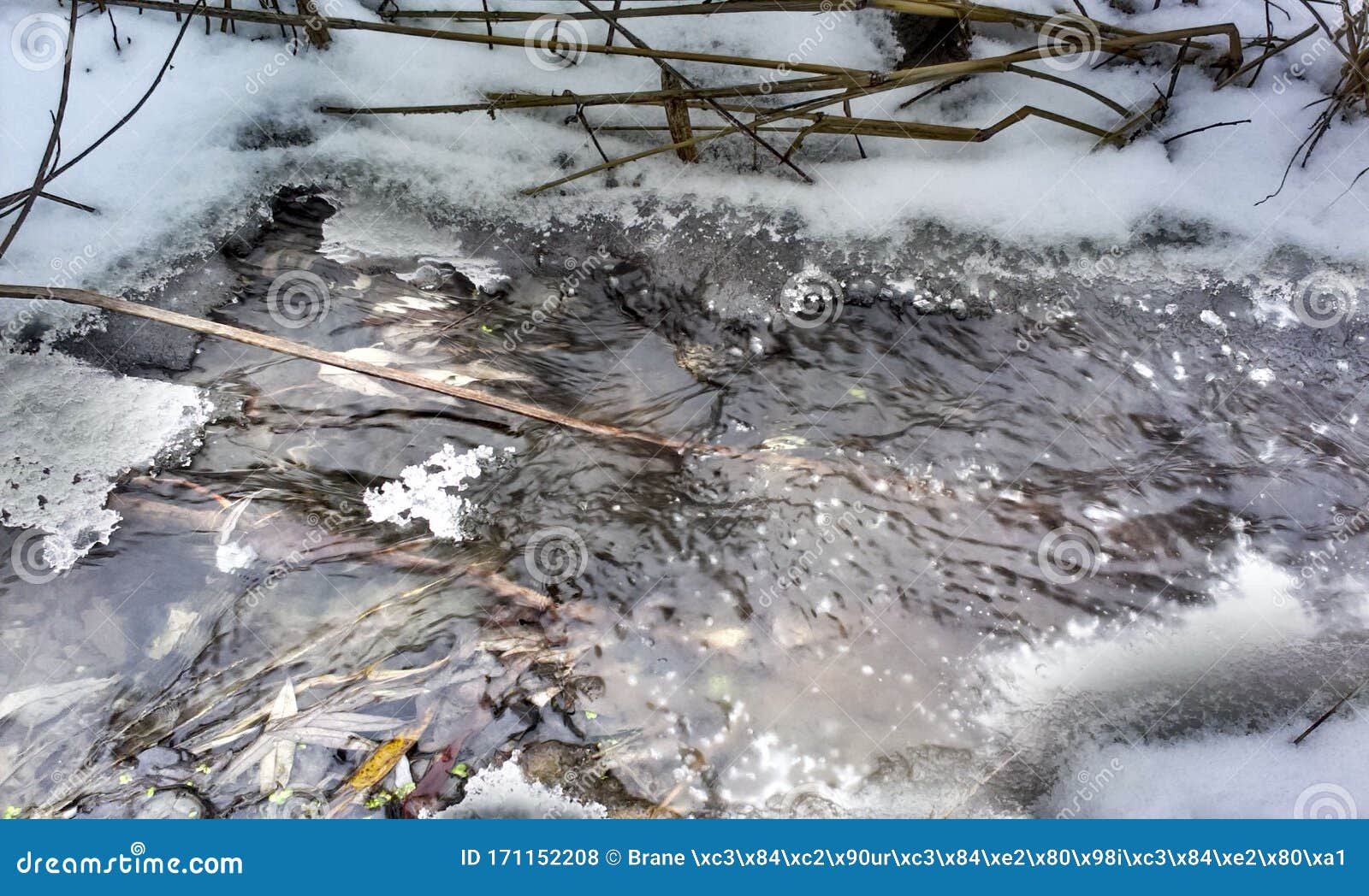 Half Frozen Stream at Winter Time. Stock Photo - Image of water, stream ...