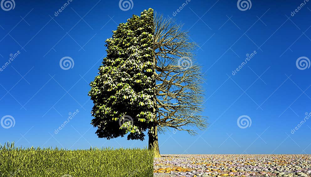 Half green half bare tree. stock illustration. Illustration of bare ...