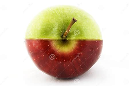 Half and Half stock photo. Image of gala, join, healthy - 85708