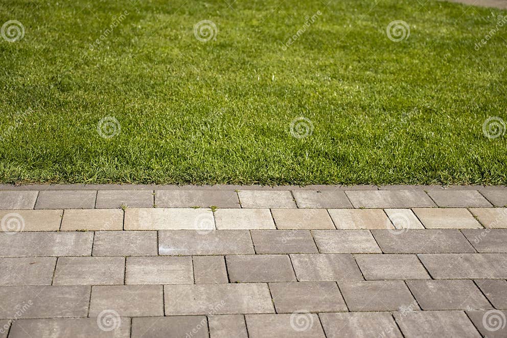 Half of the Image Shows Pavement and the Other Half Grass, Capturing a ...
