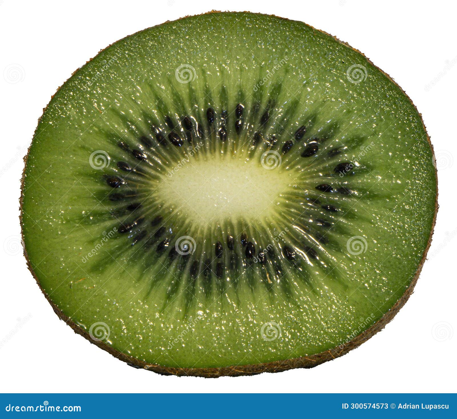 Half of a Kiwi Fruit without Background Stock Image - Image of ...