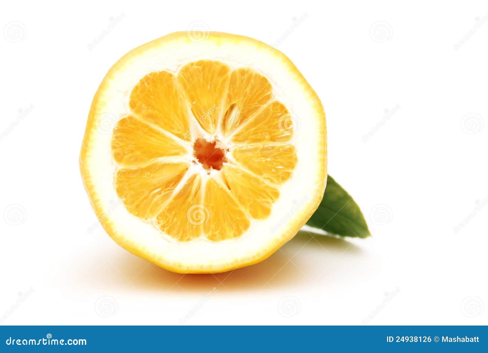 Half a lemon stock photo. Image of clean, portion, peel - 24938126