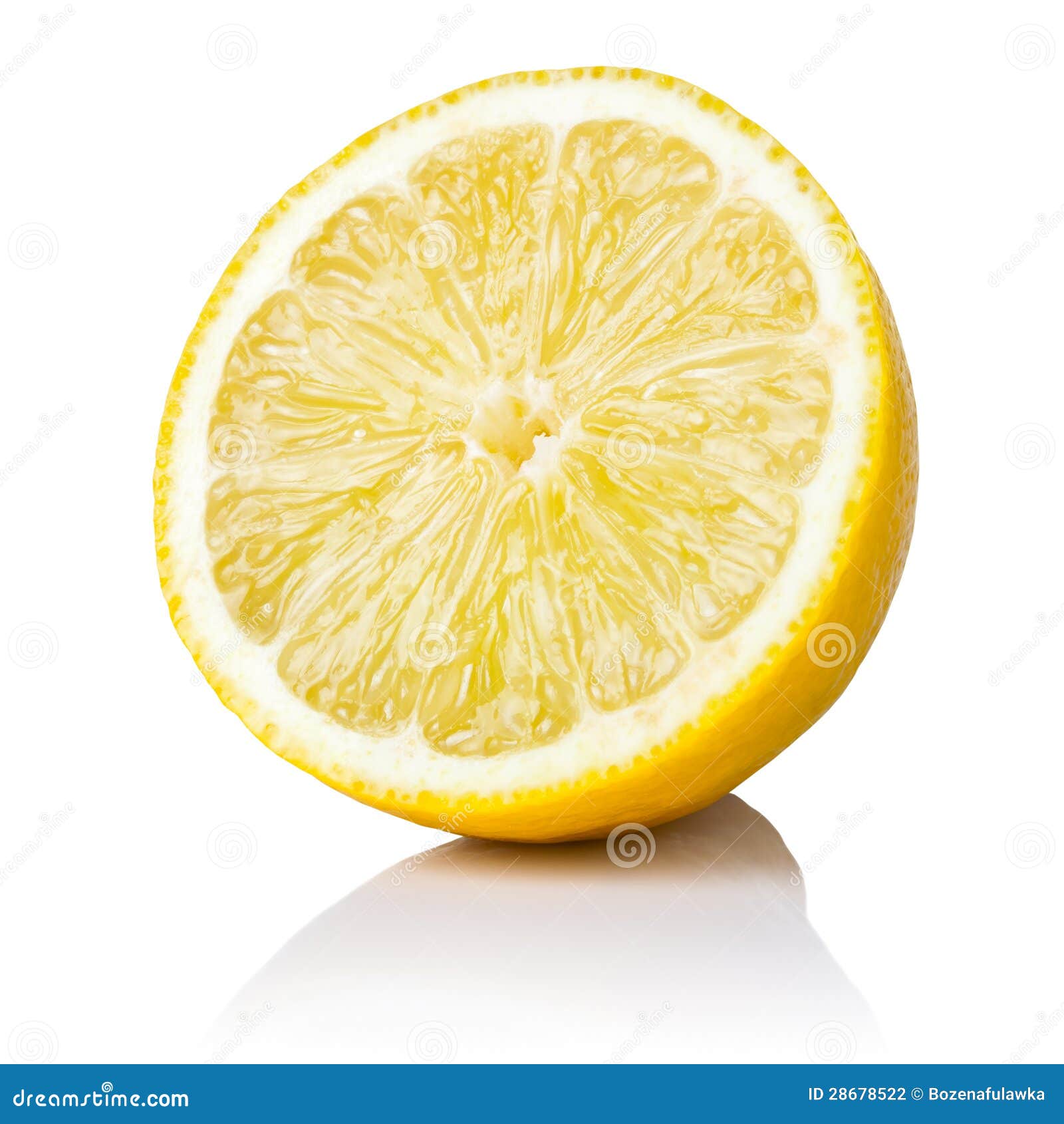 Half Lemon stock photo. Image of circle, vitamin, ingredient - 28678522