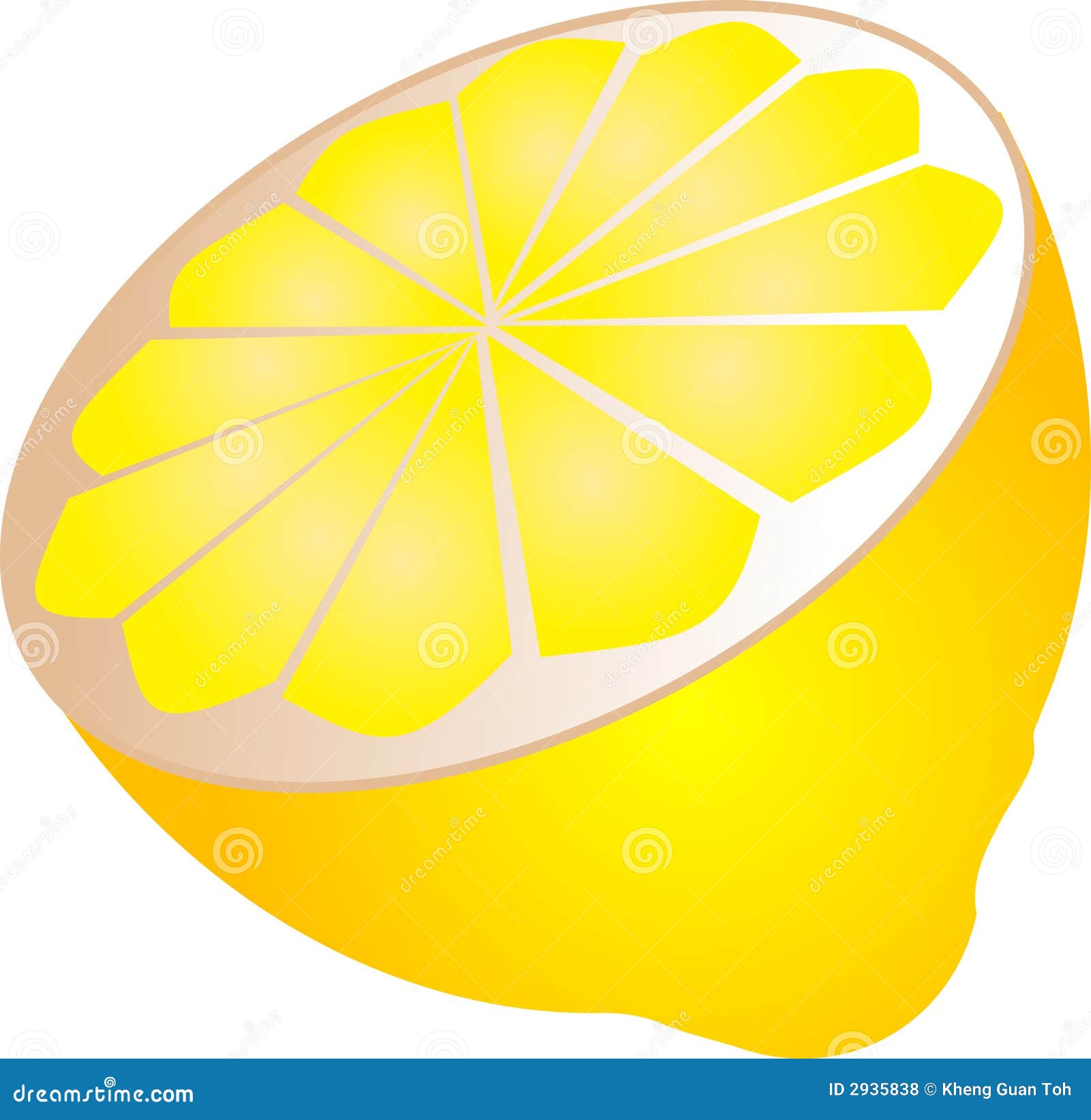 Half lemon stock vector. Illustration of fruit, fresh - 2935838