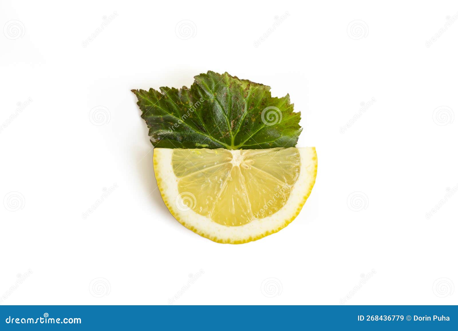 Half of a Lemon Slice on a Green Leaf Isolated on White Stock Image ...
