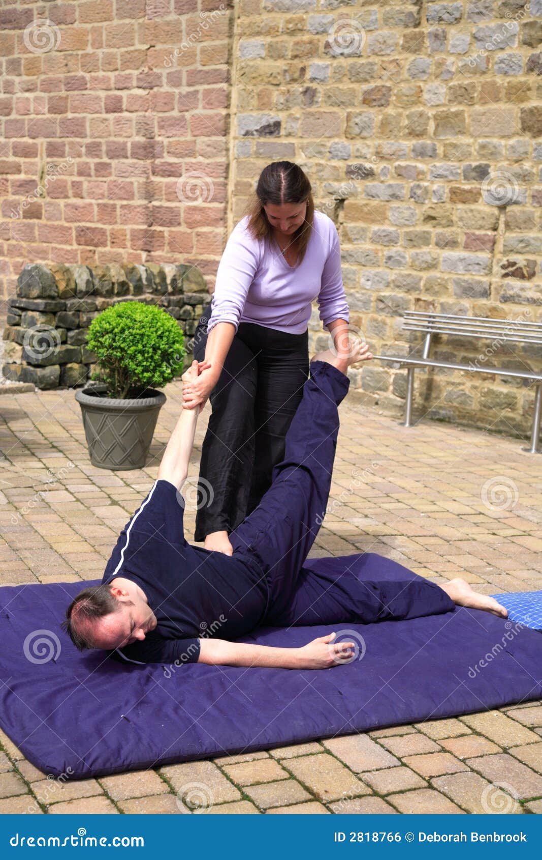 Half locust stock photo. Image of psoas, flexibility, lines - 2818766