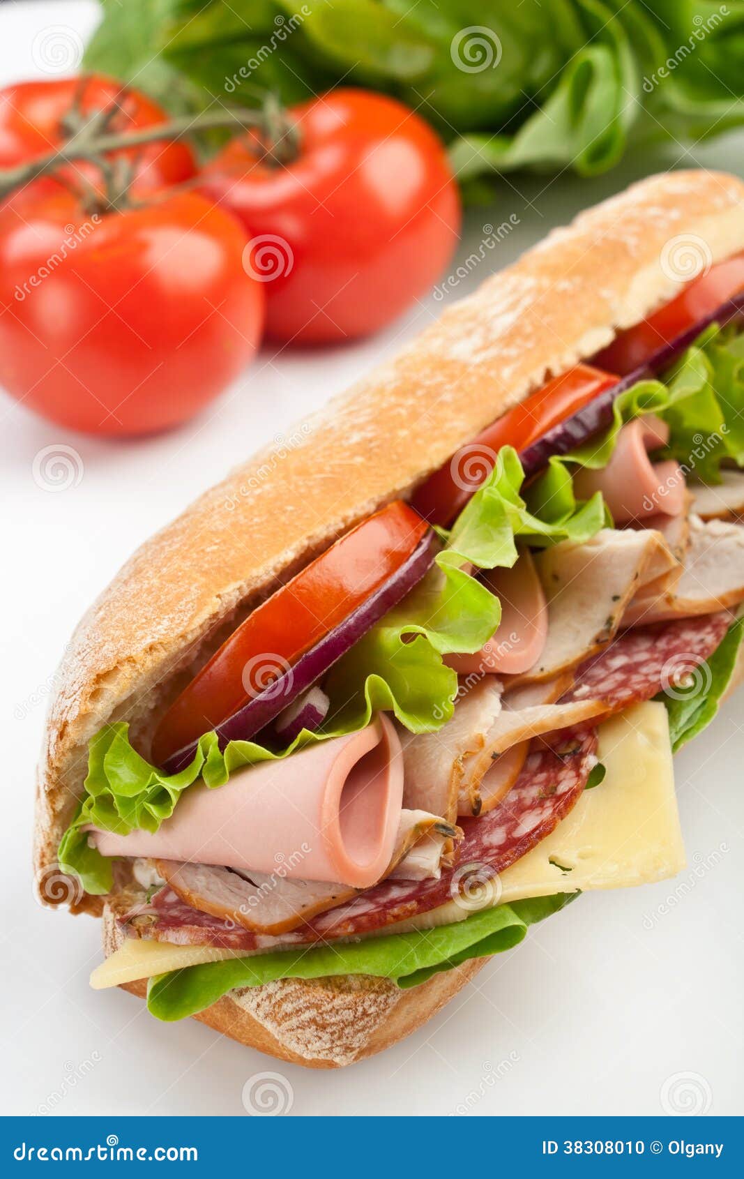 Turkey Breast Subway