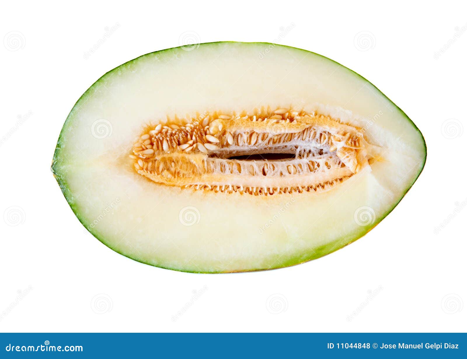 Half a melon stock photo. Image of ripe, background, natural - 11044848