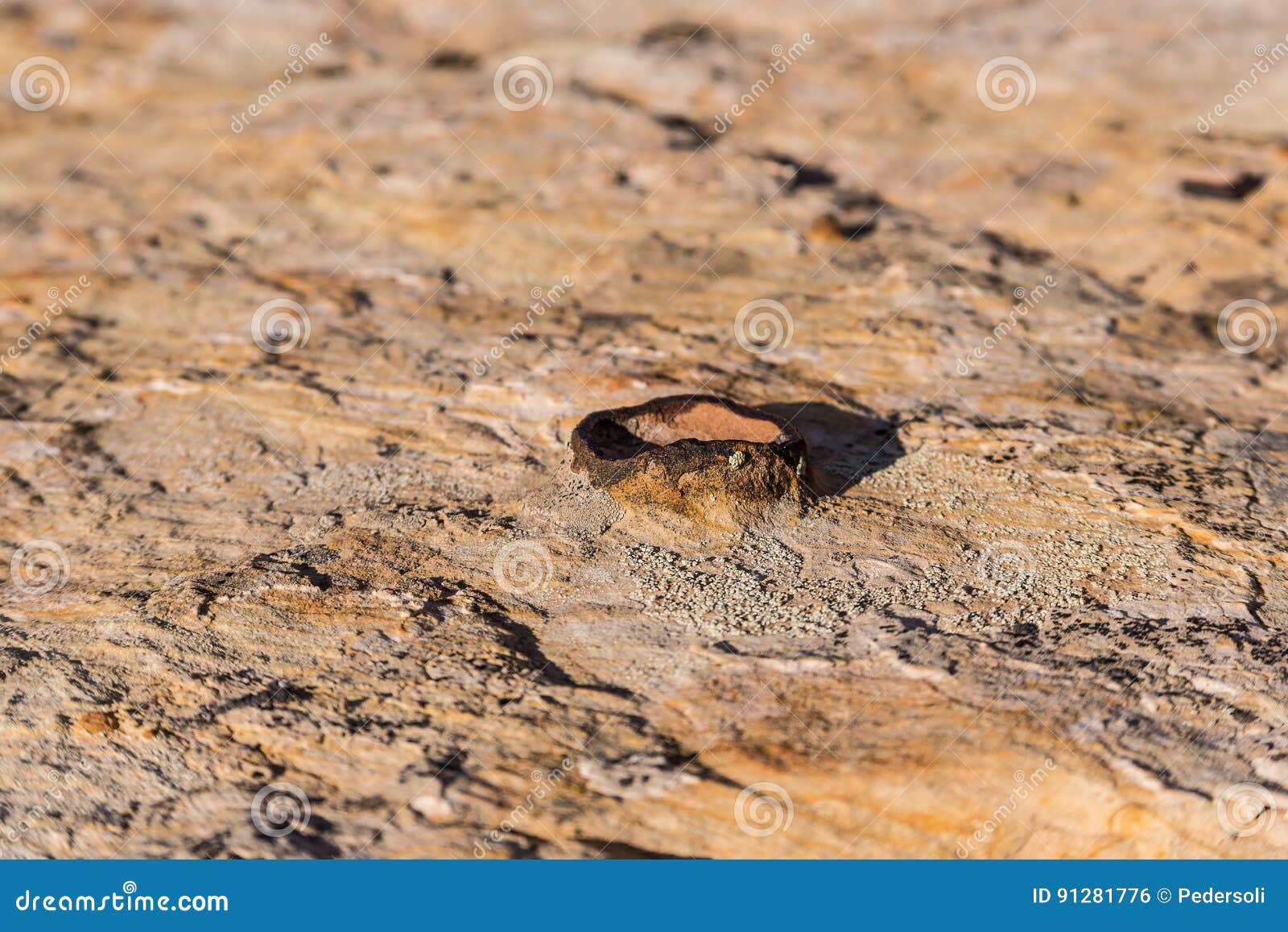 Half Moki Marble Moqui Marble Stuck in a Rock Stock Photo - Image of ...