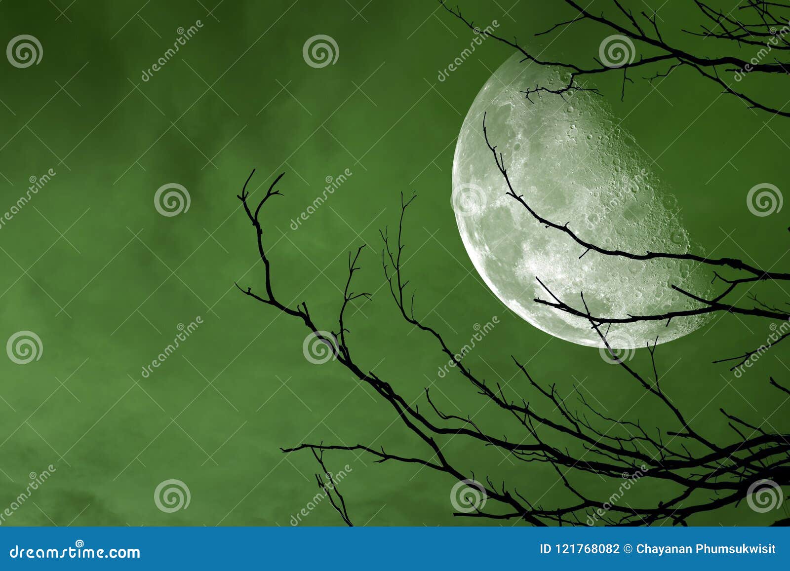 Half Moon Back Silhouette Tree and Green Night Sky Stock Photo - Image ...
