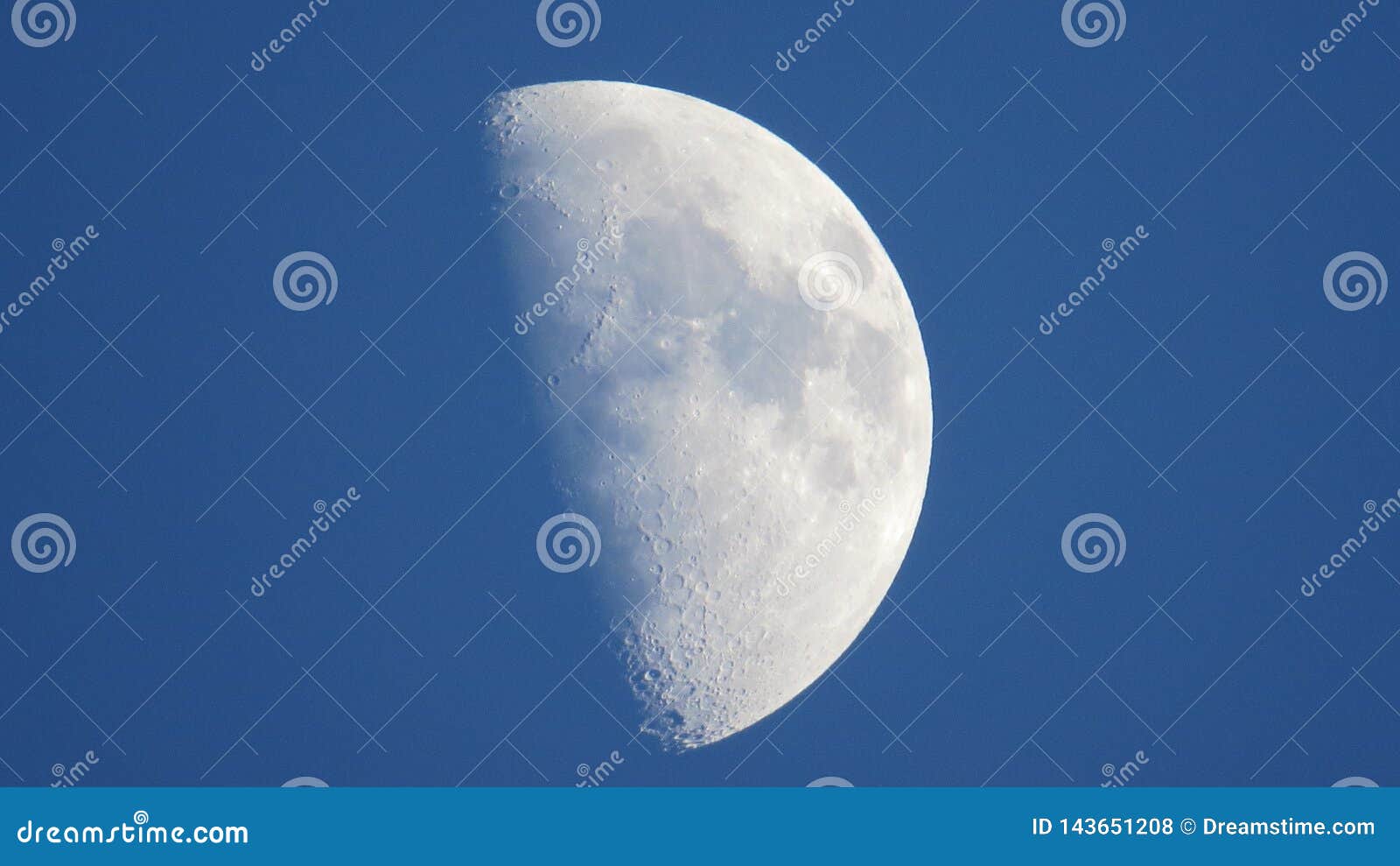 Half Moon on blue sky stock photo. Image of rose, park - 143651208