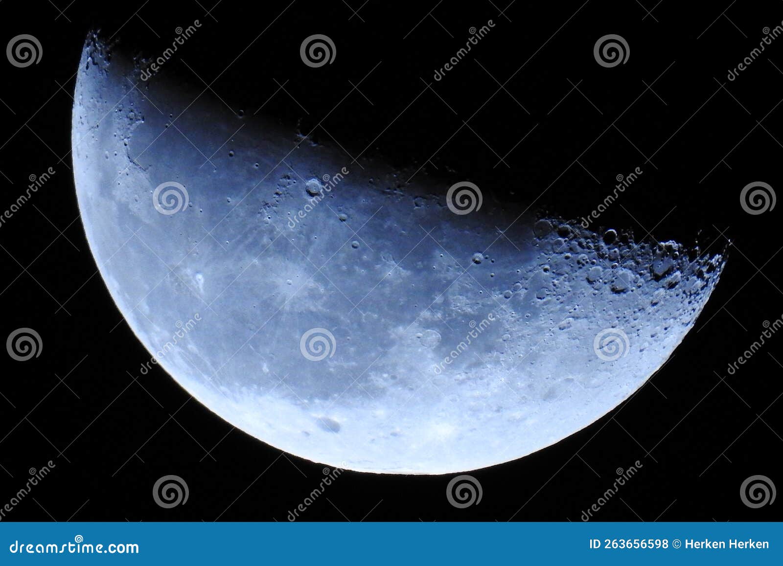 Half Moon stock photo. Image of night, moon, tonight - 263656598