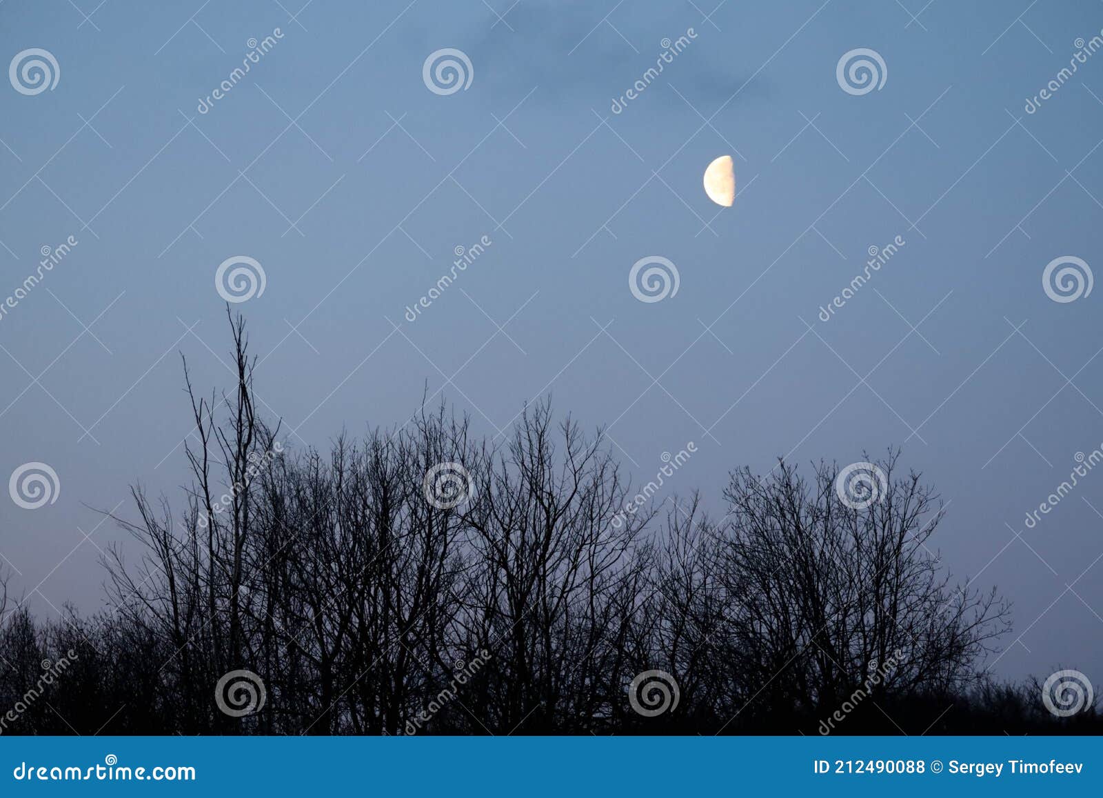Half a Moon in the Morning Sky Stock Photo - Image of crater ...