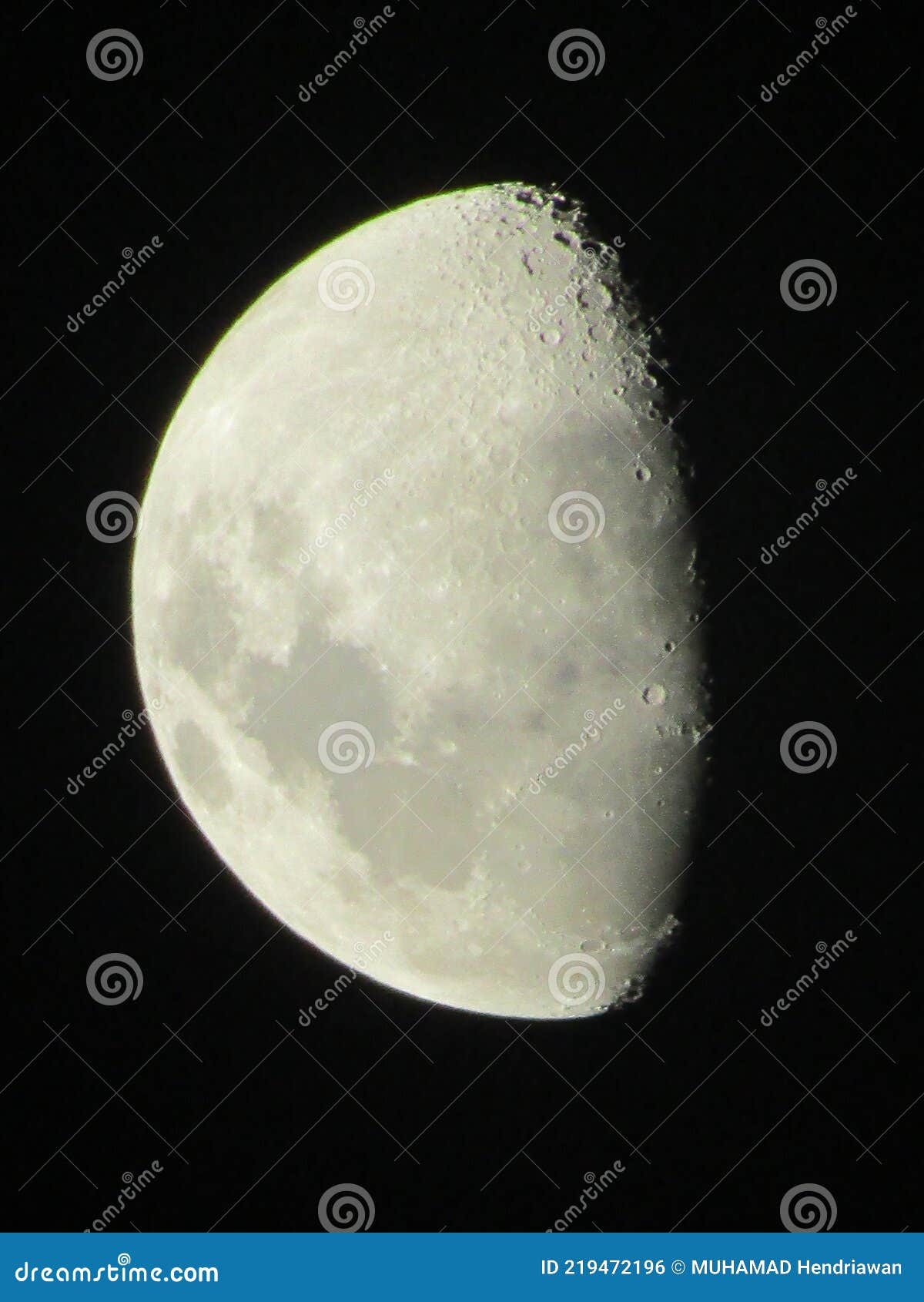 Half moon at night stock photo. Image of circle, night - 219472196