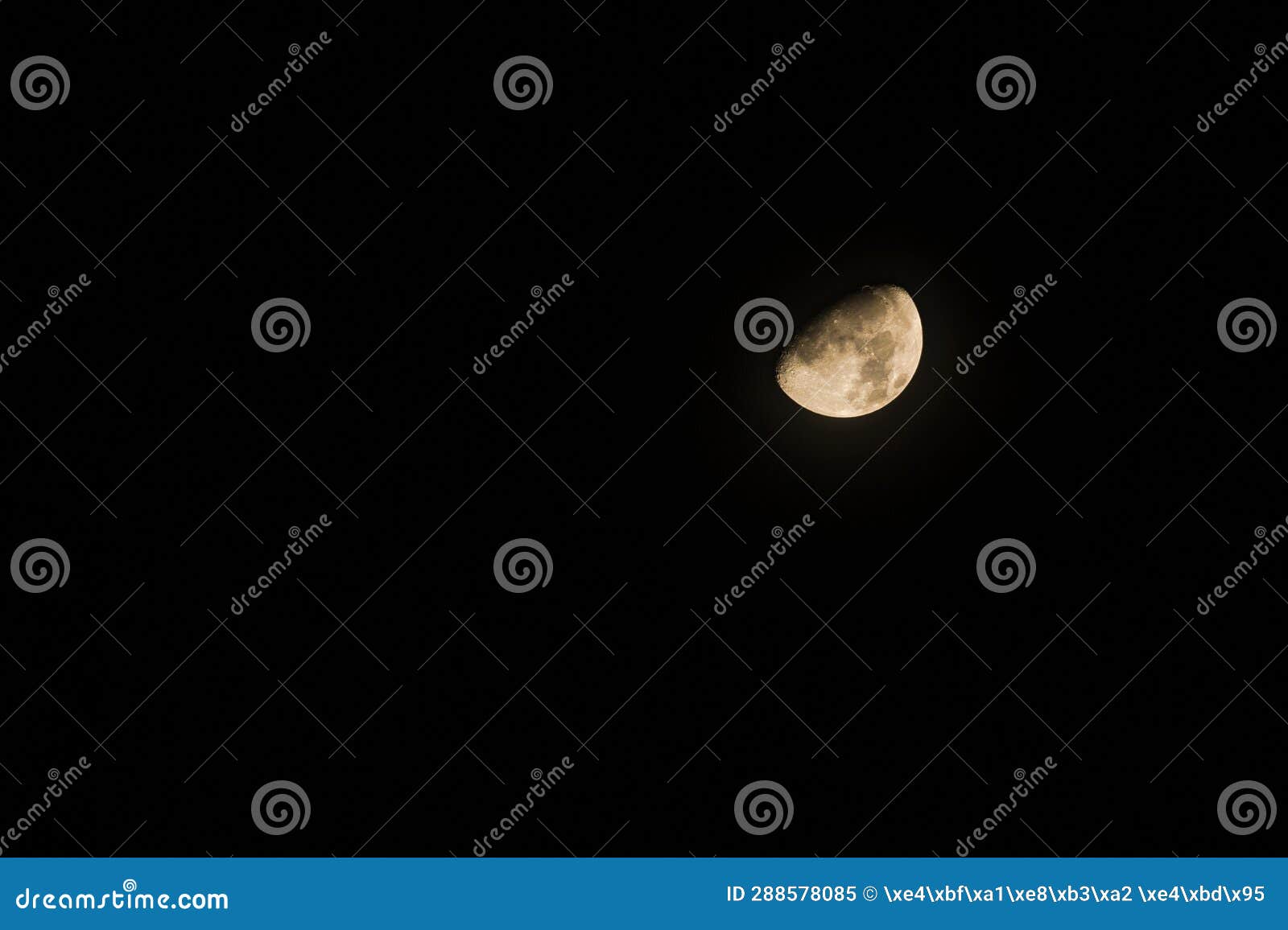 Half-moon in the Night Sky stock image. Image of yellow - 288578085