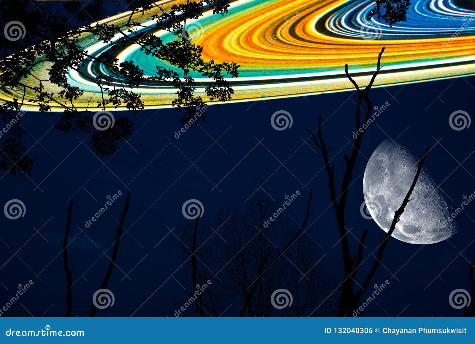 Half Moon and Saturn Ring Back on Silhouette Dry Tree and Night Stock ...