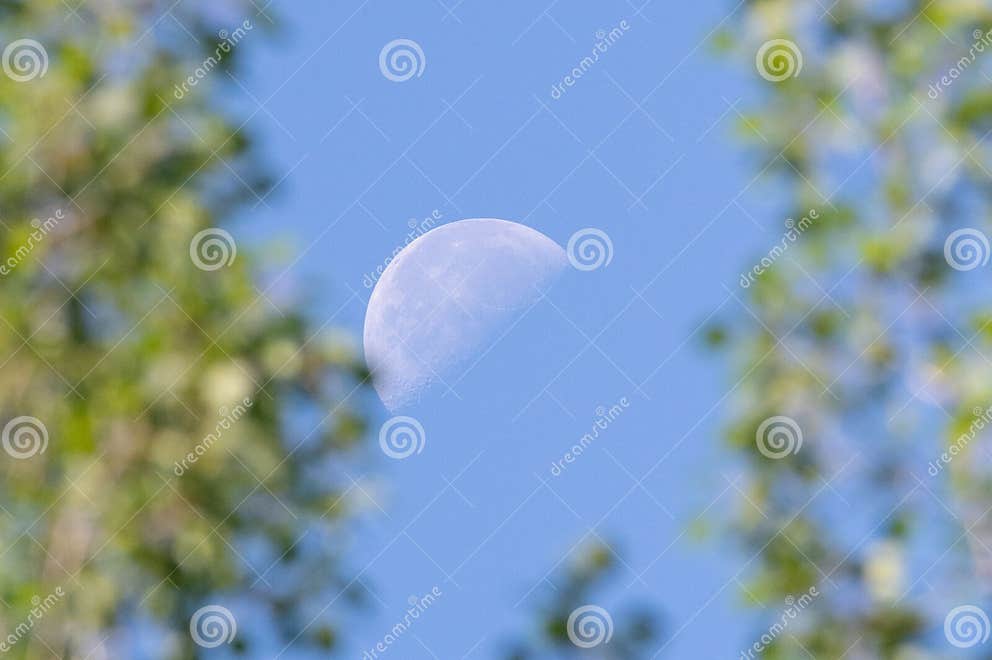 Half Moon on the Sky in Daytime Stock Image - Image of sunset ...
