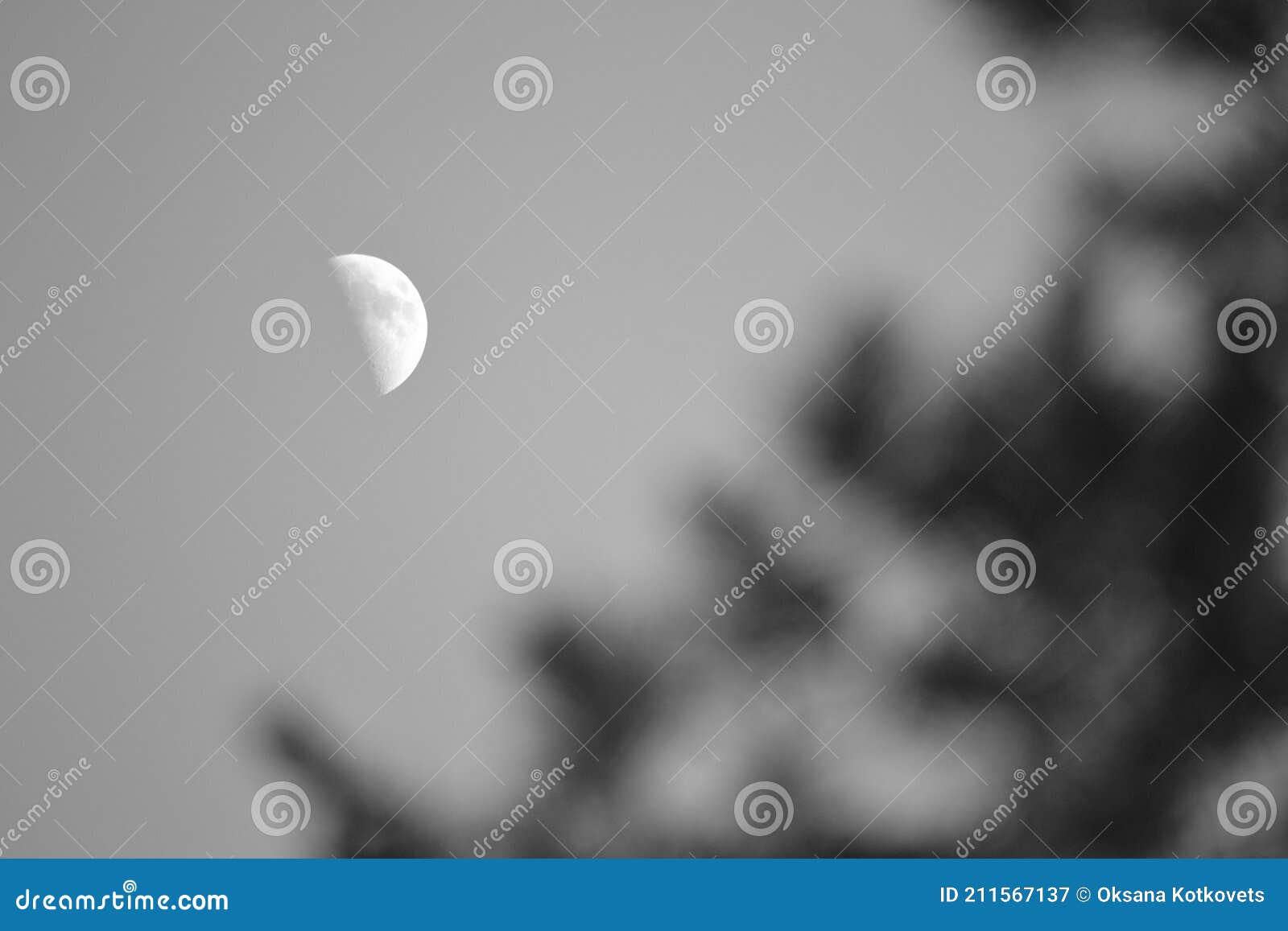Half moon in the sky stock image. Image of moon, looking - 211567137